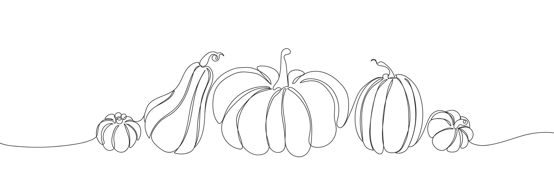 Outlines autumn pumpkins set. Hand drawn black and white line art ...