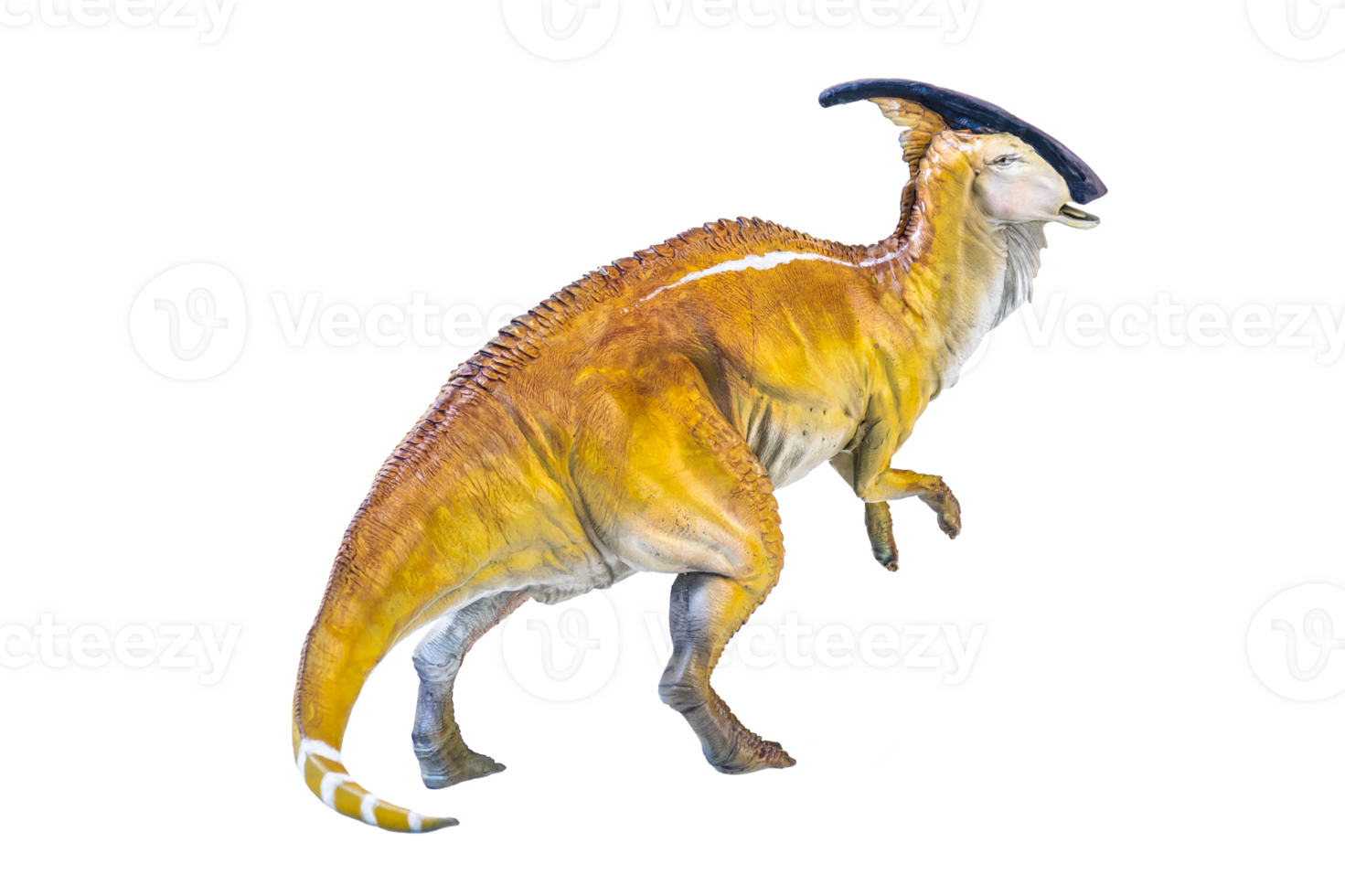 Parasaurolophus Dinosaur Isolated Background 30815274 Png
