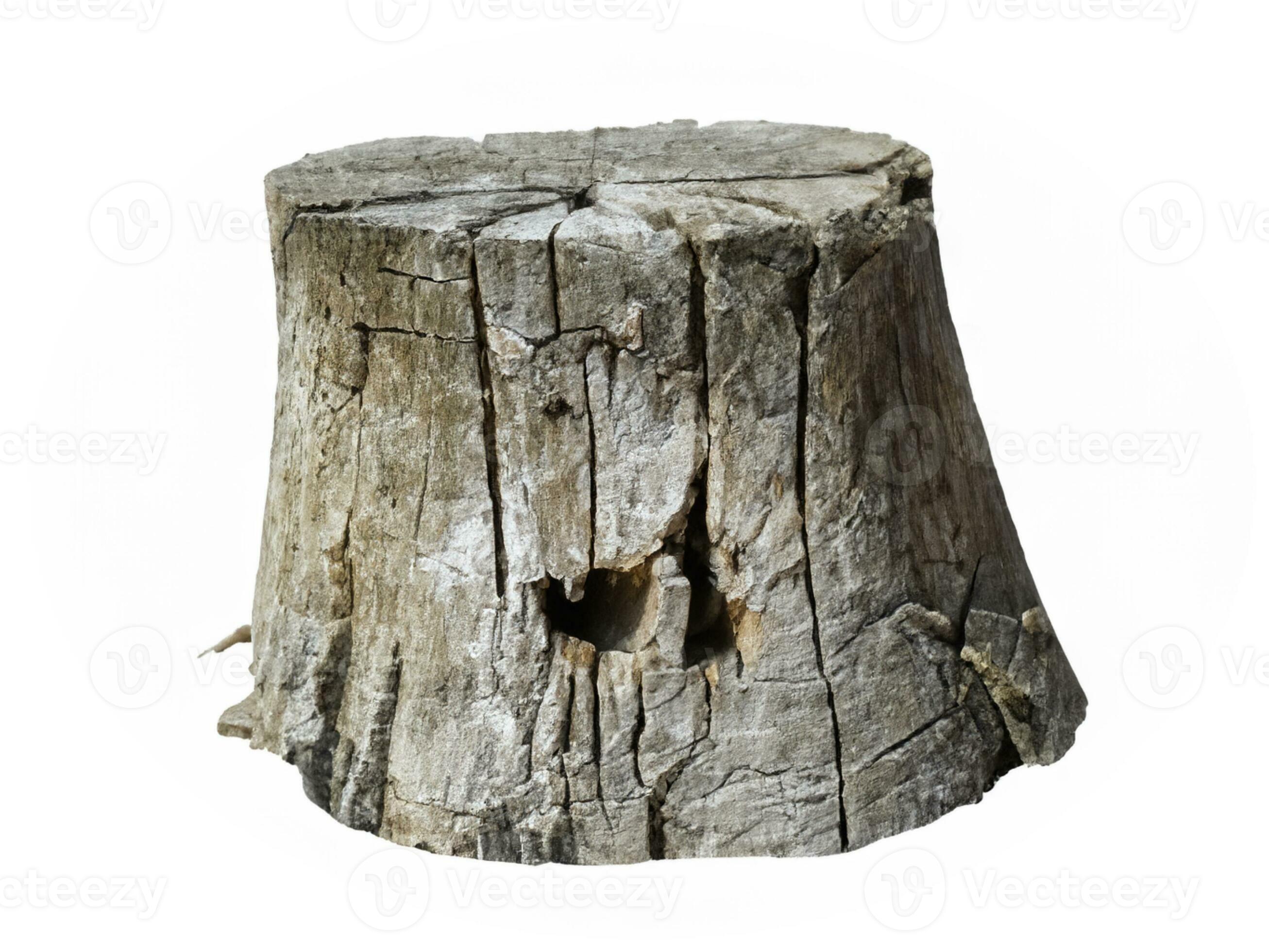wood tree cut from cut tree trunk isolated on white background 30913275 Stock Photo at Vecteezy