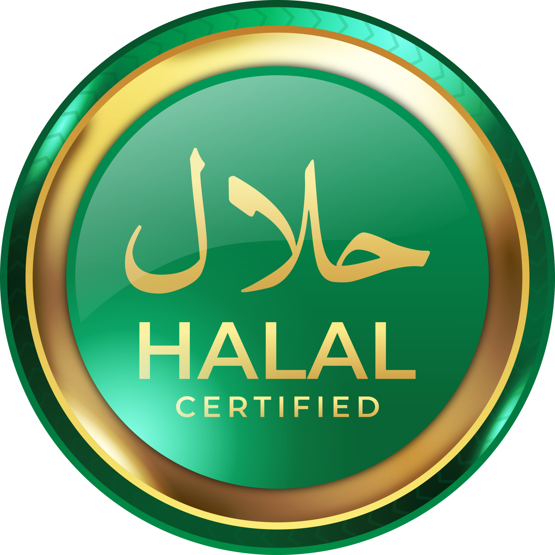 Halal Certified Logo Icon 30936194 PNG