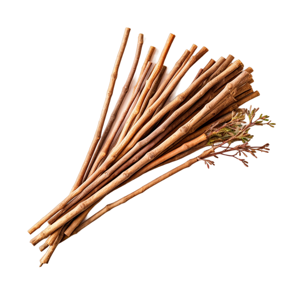 single stick and bunch of sticks ai generative 30949984 PNG single stick and bunch of sticks ai generative 30949984 PNG