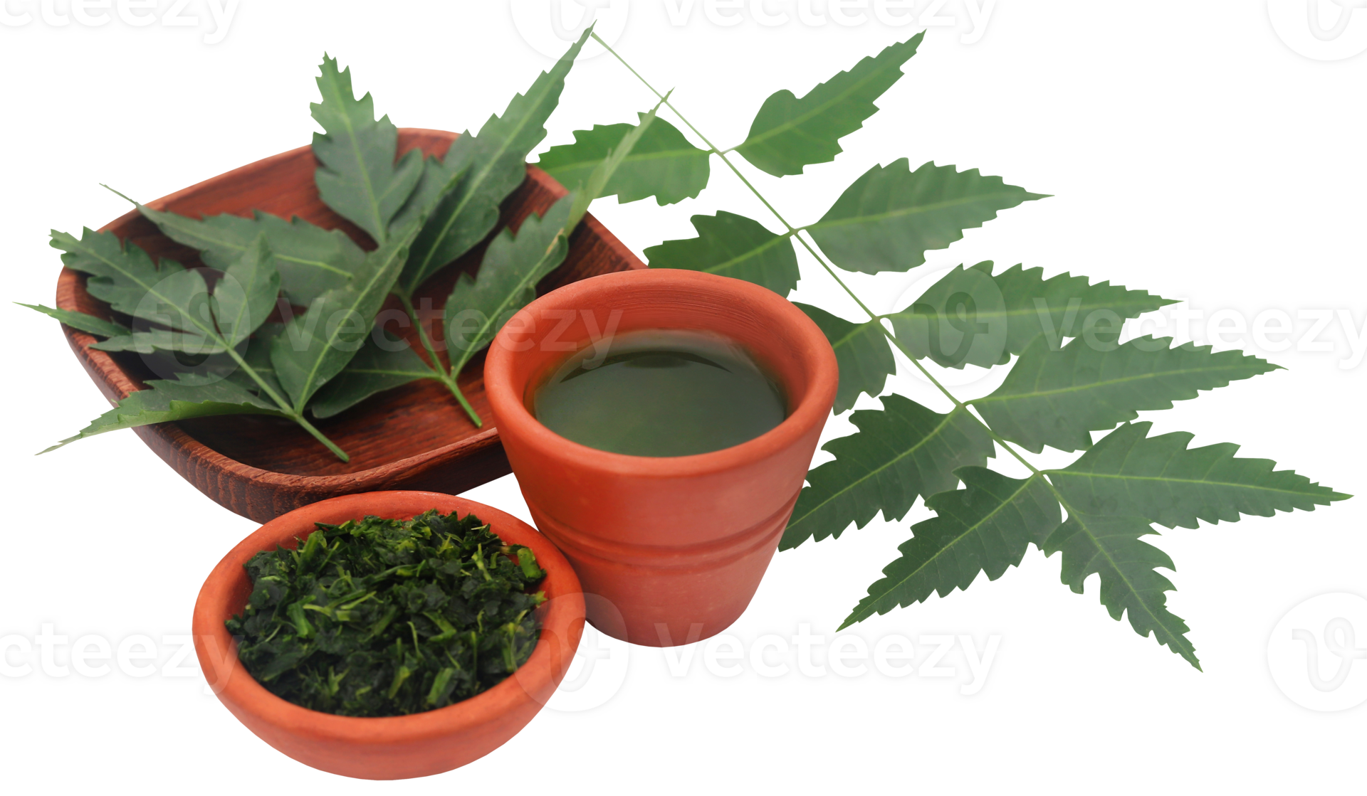 Medicinal Neem Leaves With Extract 31097207 Png