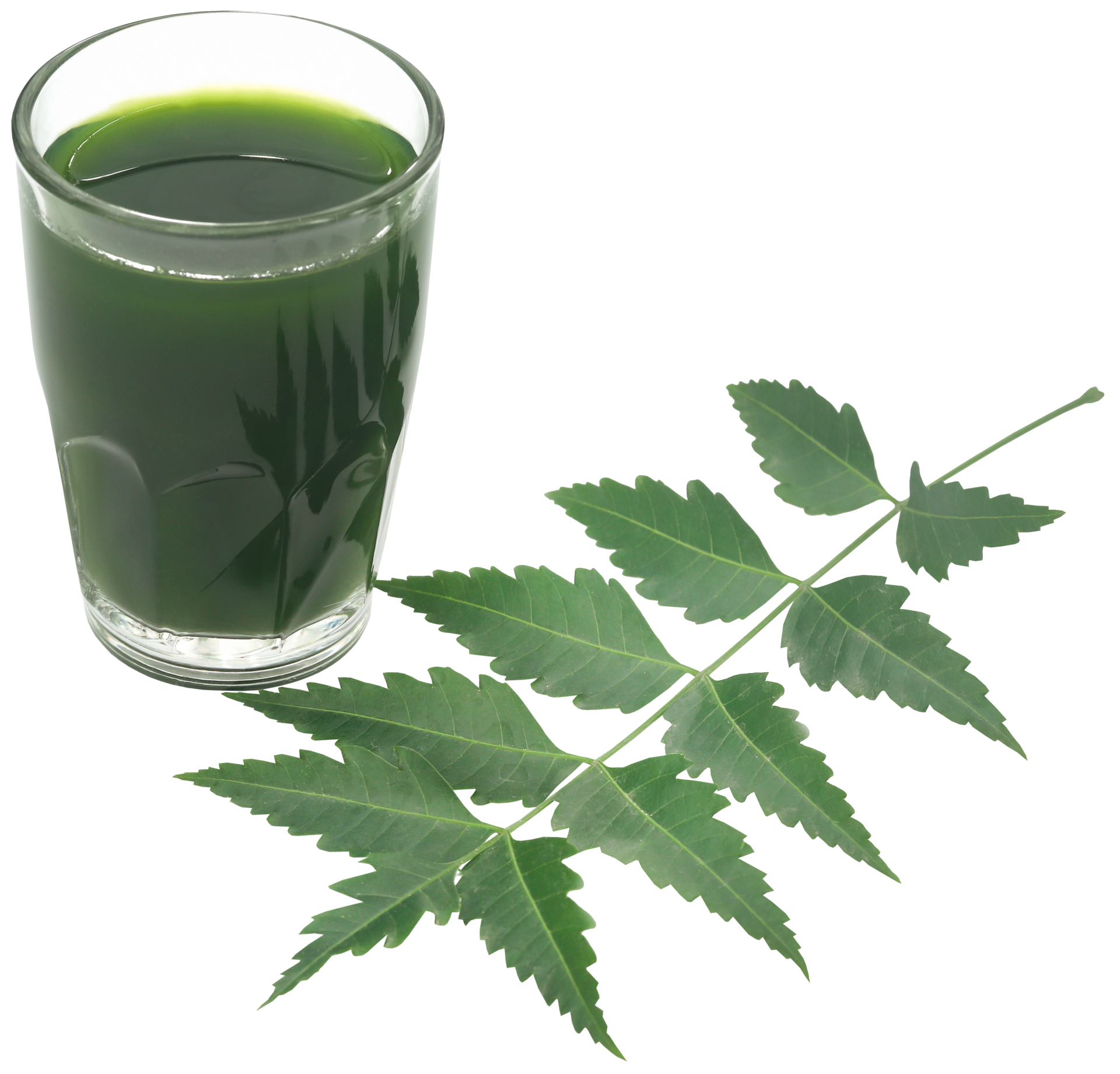 Medicinal Neem Leaves With Extract 31097960 Png
