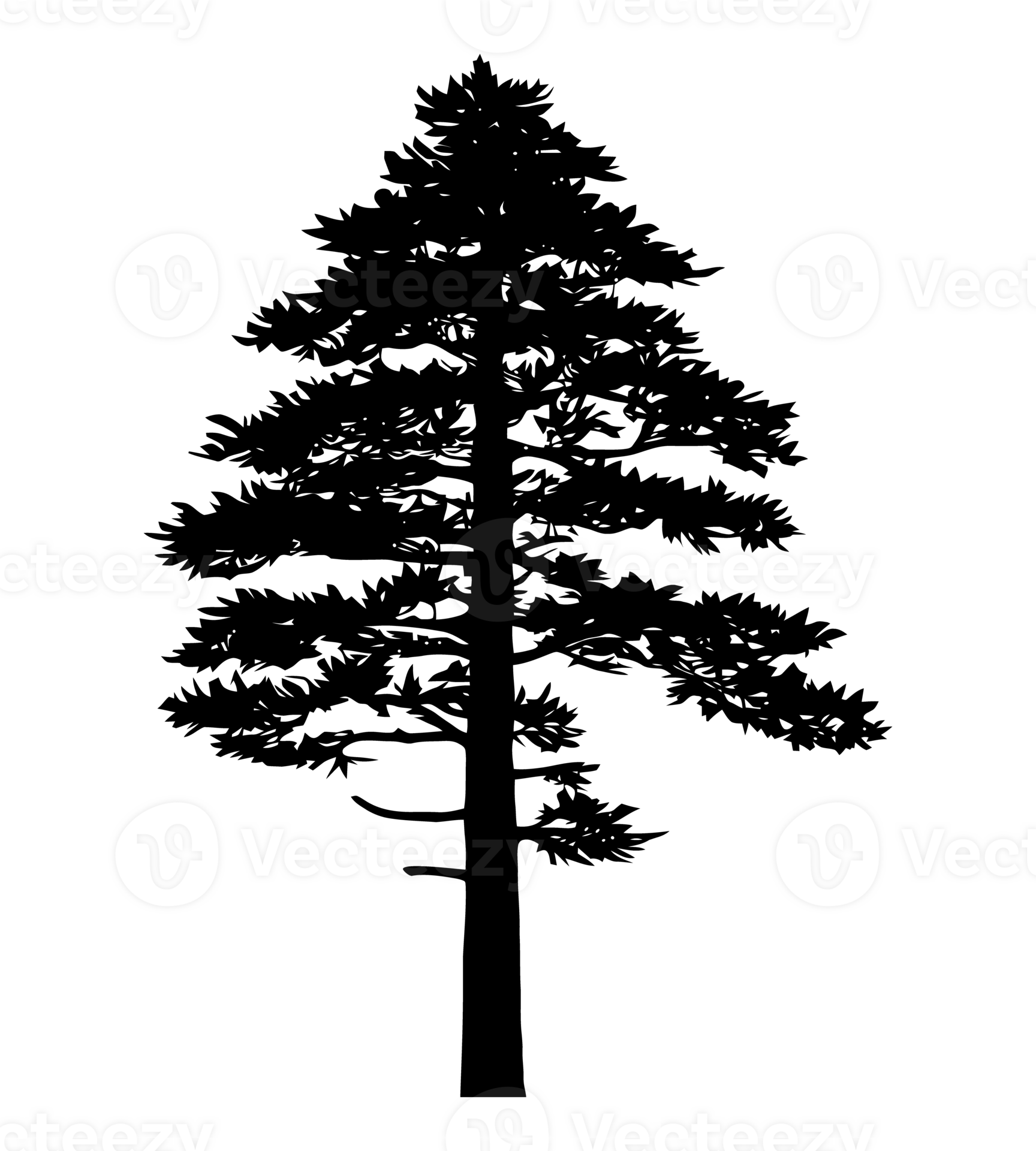 Pine tree silhouette 31113570 PNG