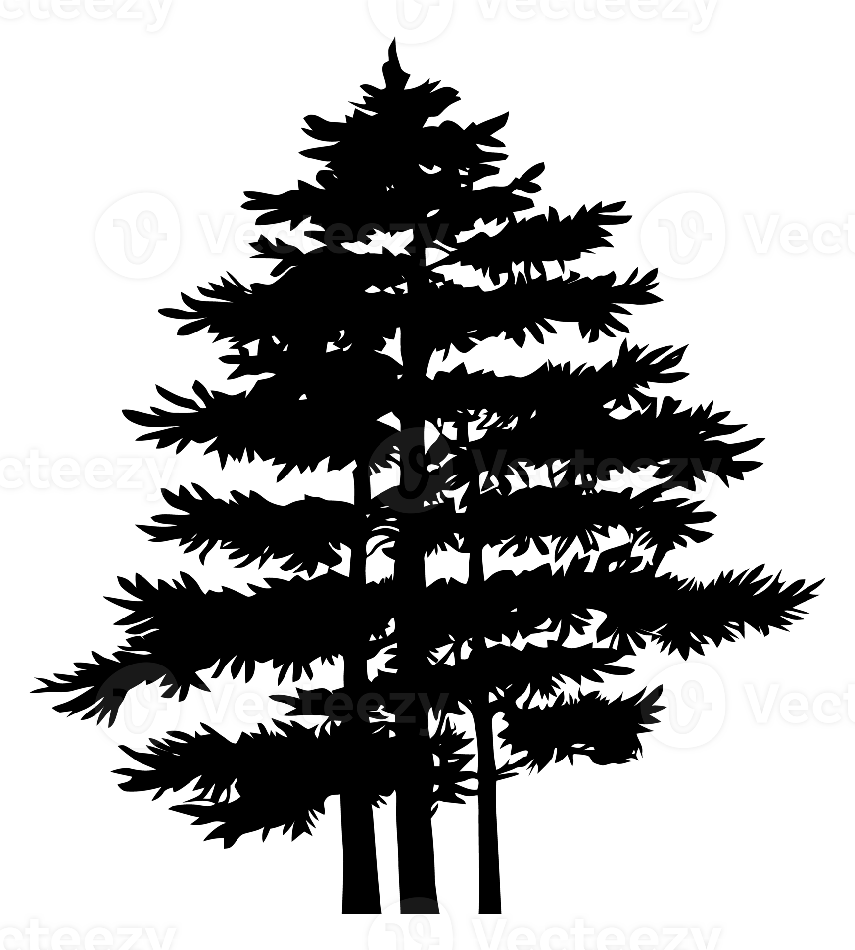 Pine tree silhouette 31113580 PNG
