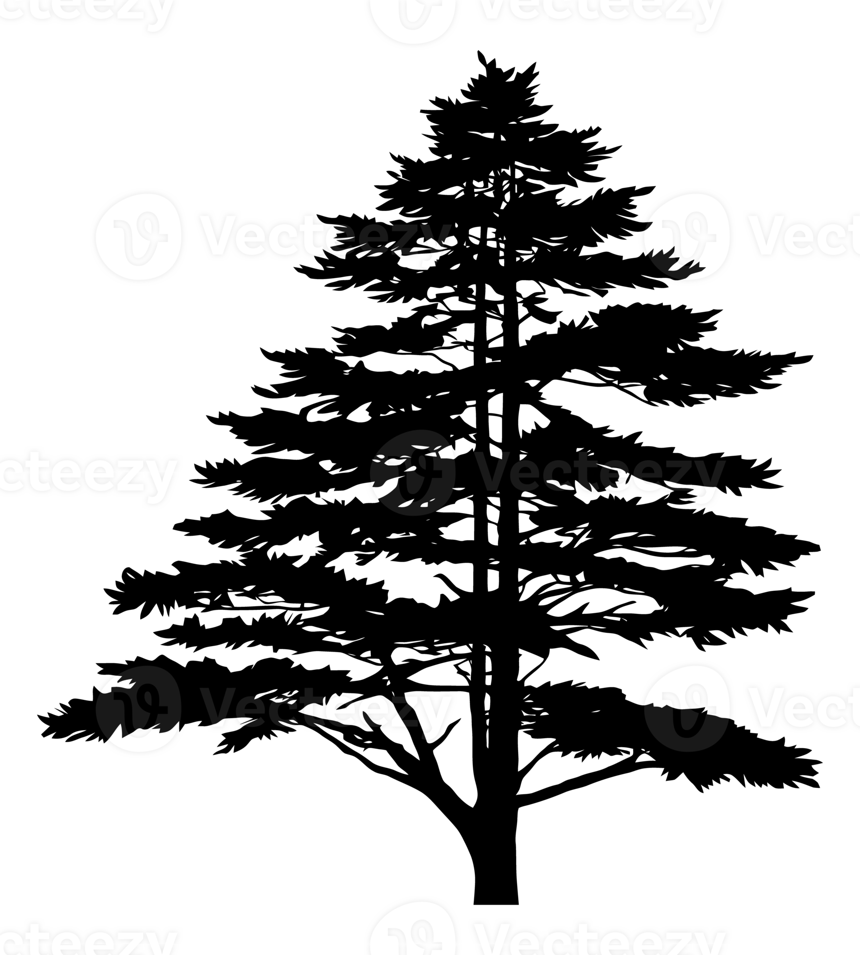 Pine tree silhouette 31113584 PNG