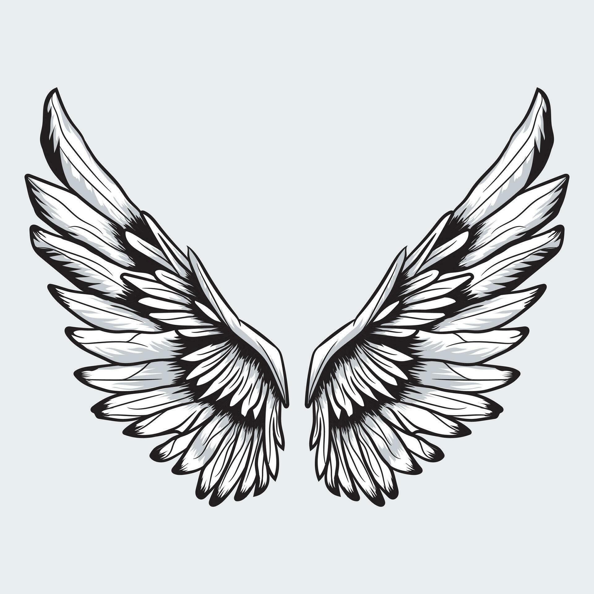Wings Vector Graphics 31133310 Vector Art at Vecteezy
