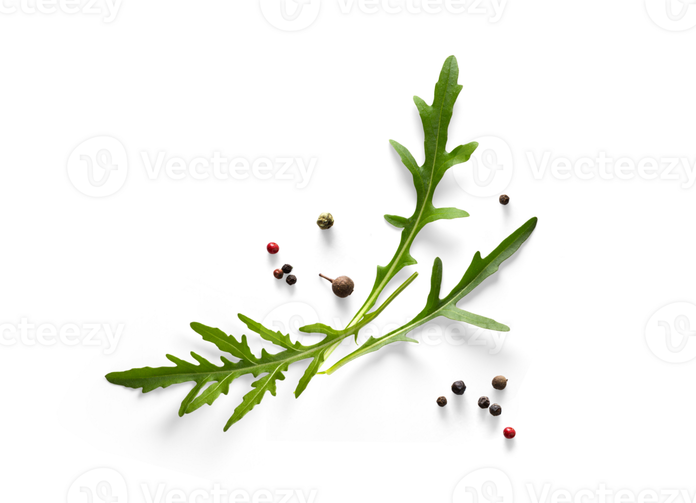 Collection Of Fresh Herb Leaves Arugula Spices Herbs Png Food Background Design Element With