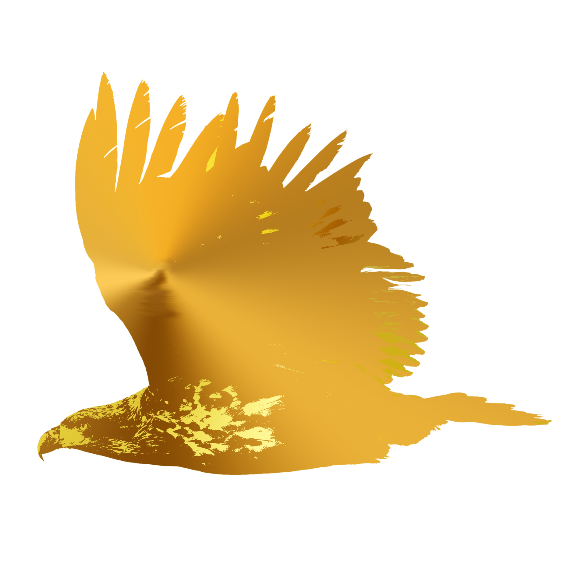 template icon eagle fly 31398310 PNG