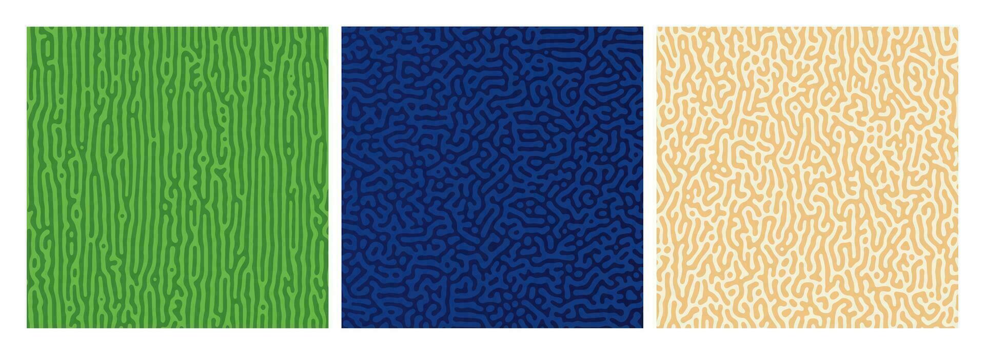 Set Of Three Colorful Turing Reaction Gradient Backgrounds Abstract