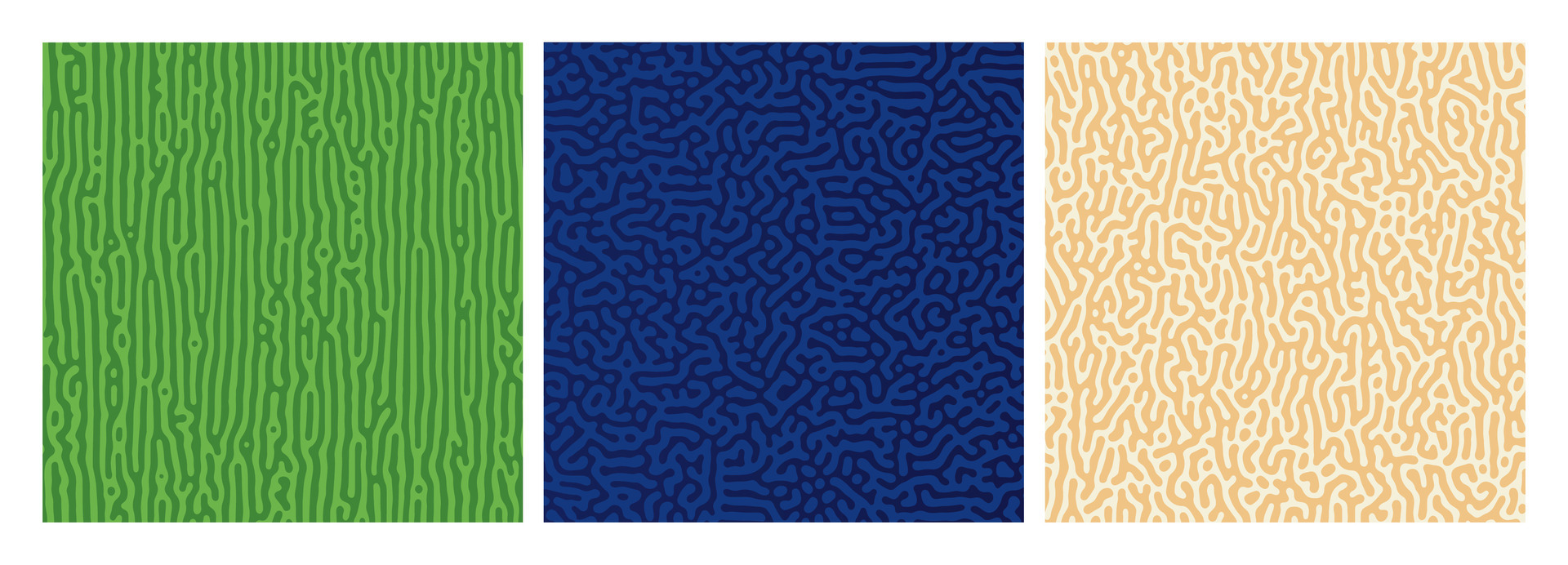 Set Of Three Colorful Turing Reaction Gradient Backgrounds Abstract