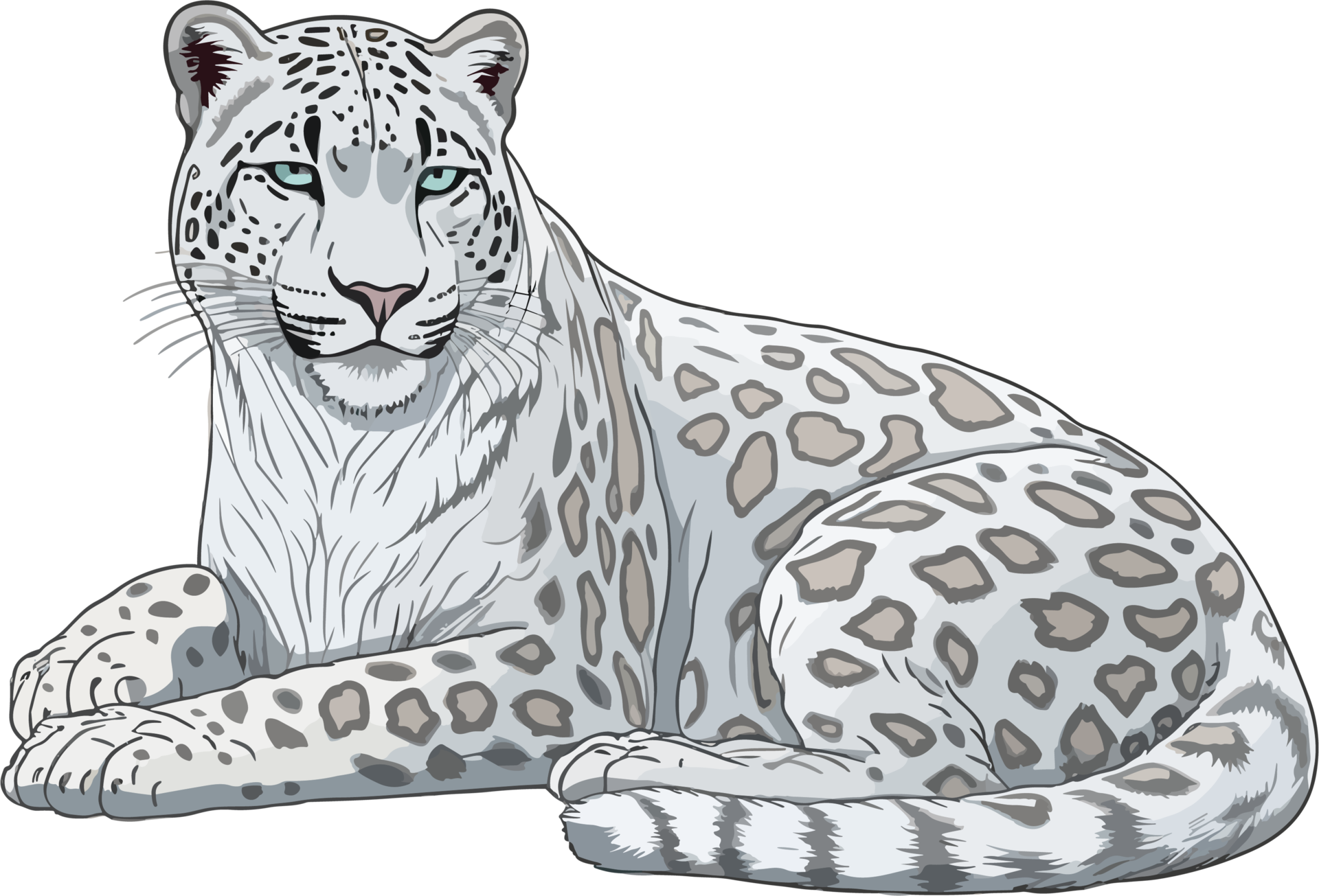 Snow Leopard Illustration Ai Generative 31426327 Png