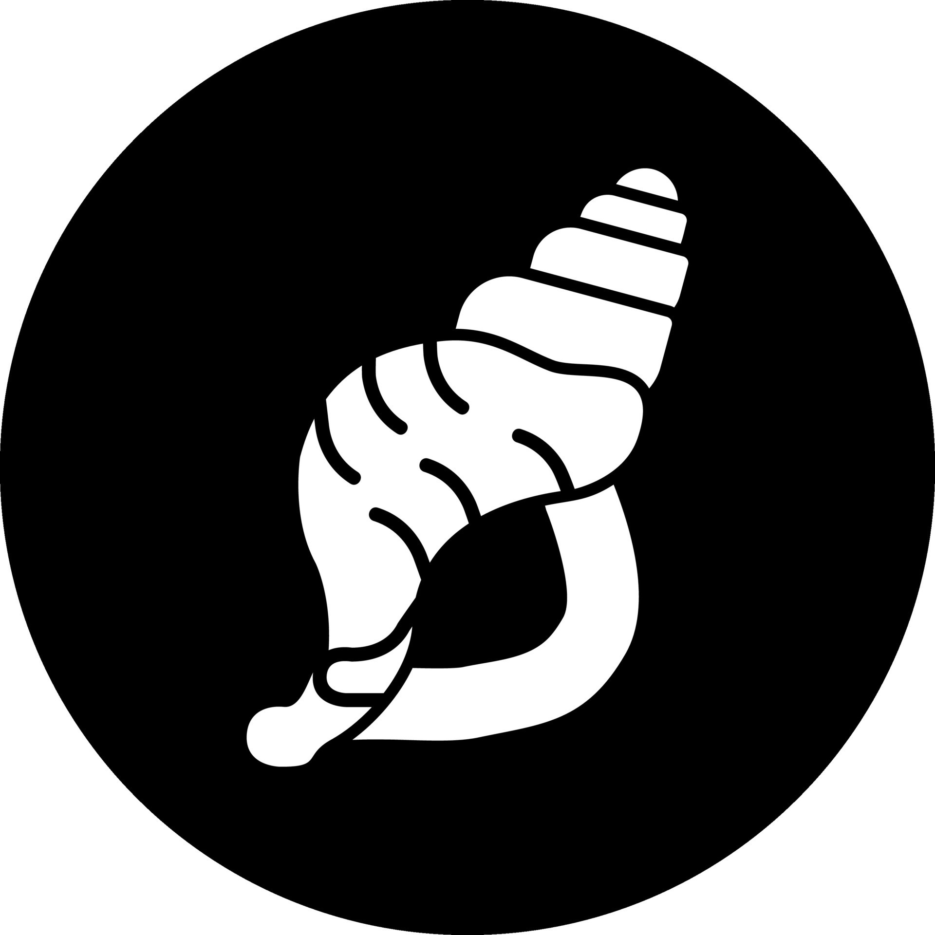 Conch Shell Vector Icon 31430747 Vector Art at Vecteezy