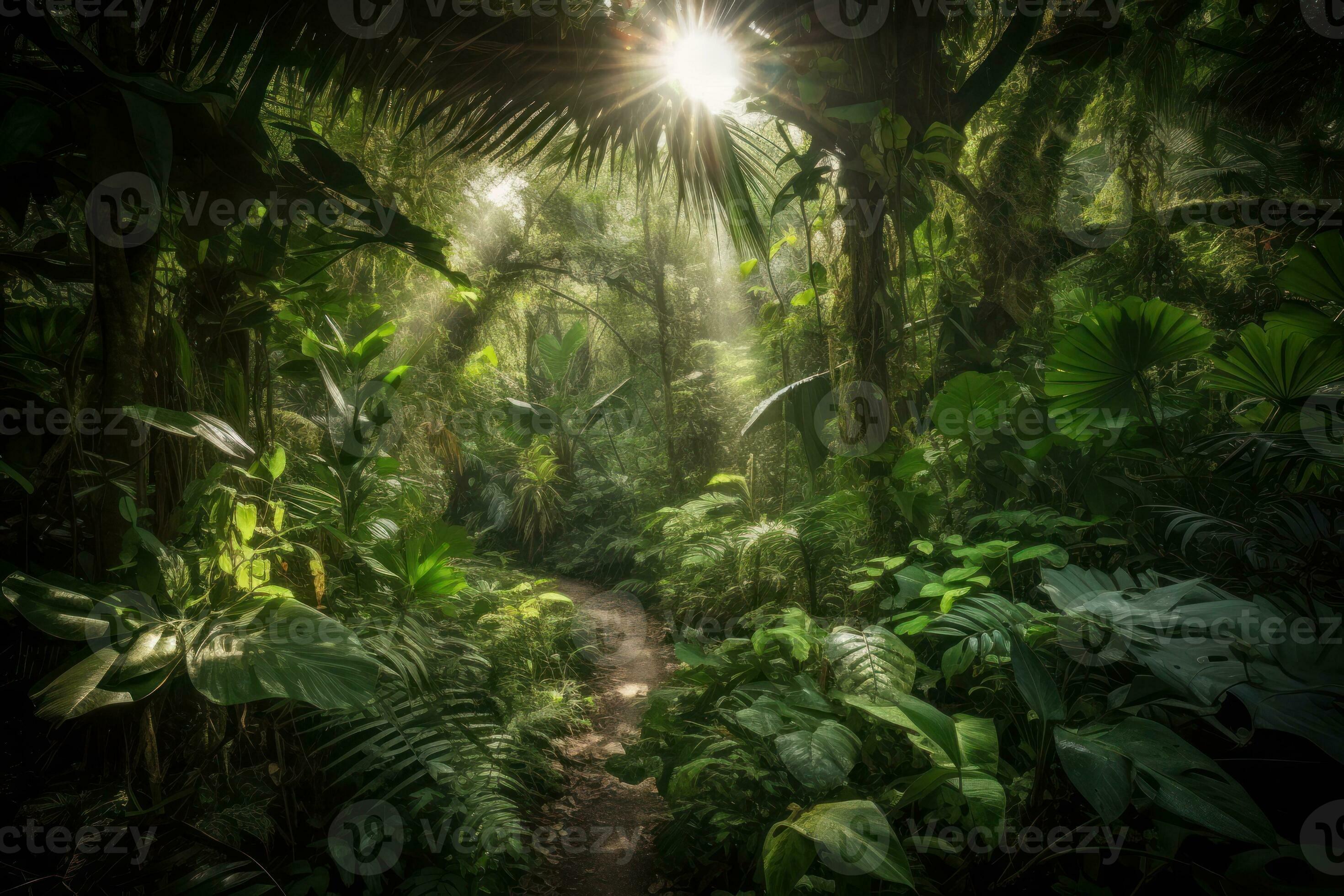 lozano tropical selva, con masivo hojas, retortijón vides y exótico ...