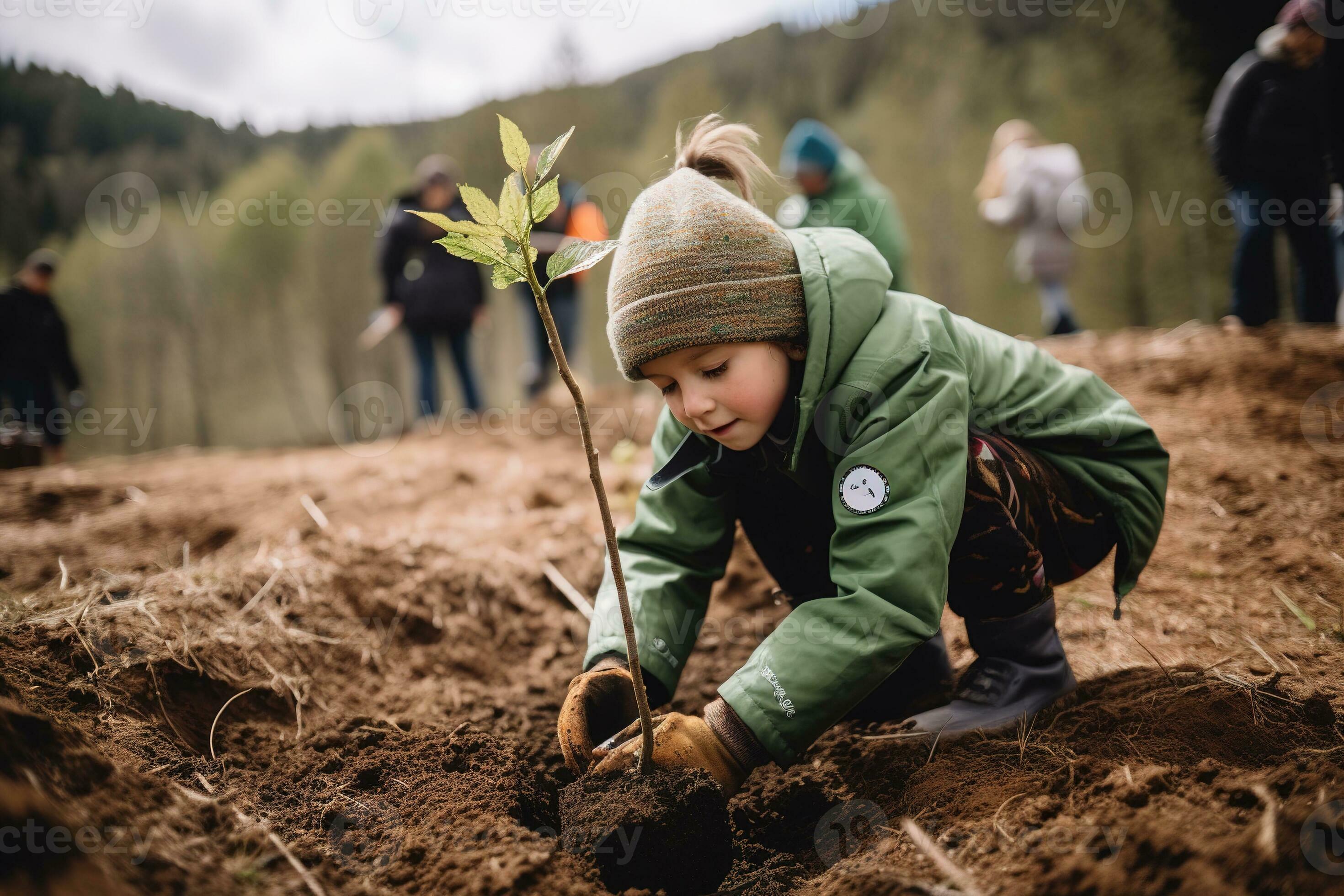 Forestry experts and volunteers planting trees as part of a ...