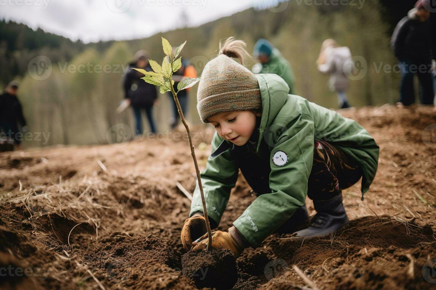 Forestry experts and volunteers planting trees as part of a ...