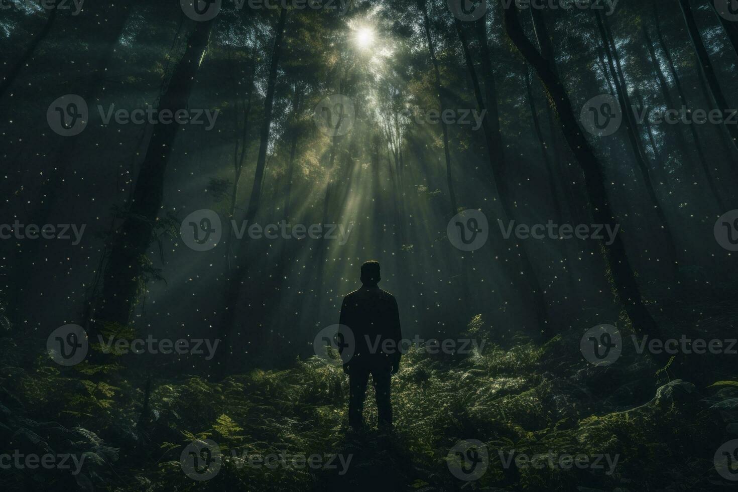 Feeling Lost in Dense Forest. Generative AI 31580097 Stock Photo at Vecteezy
