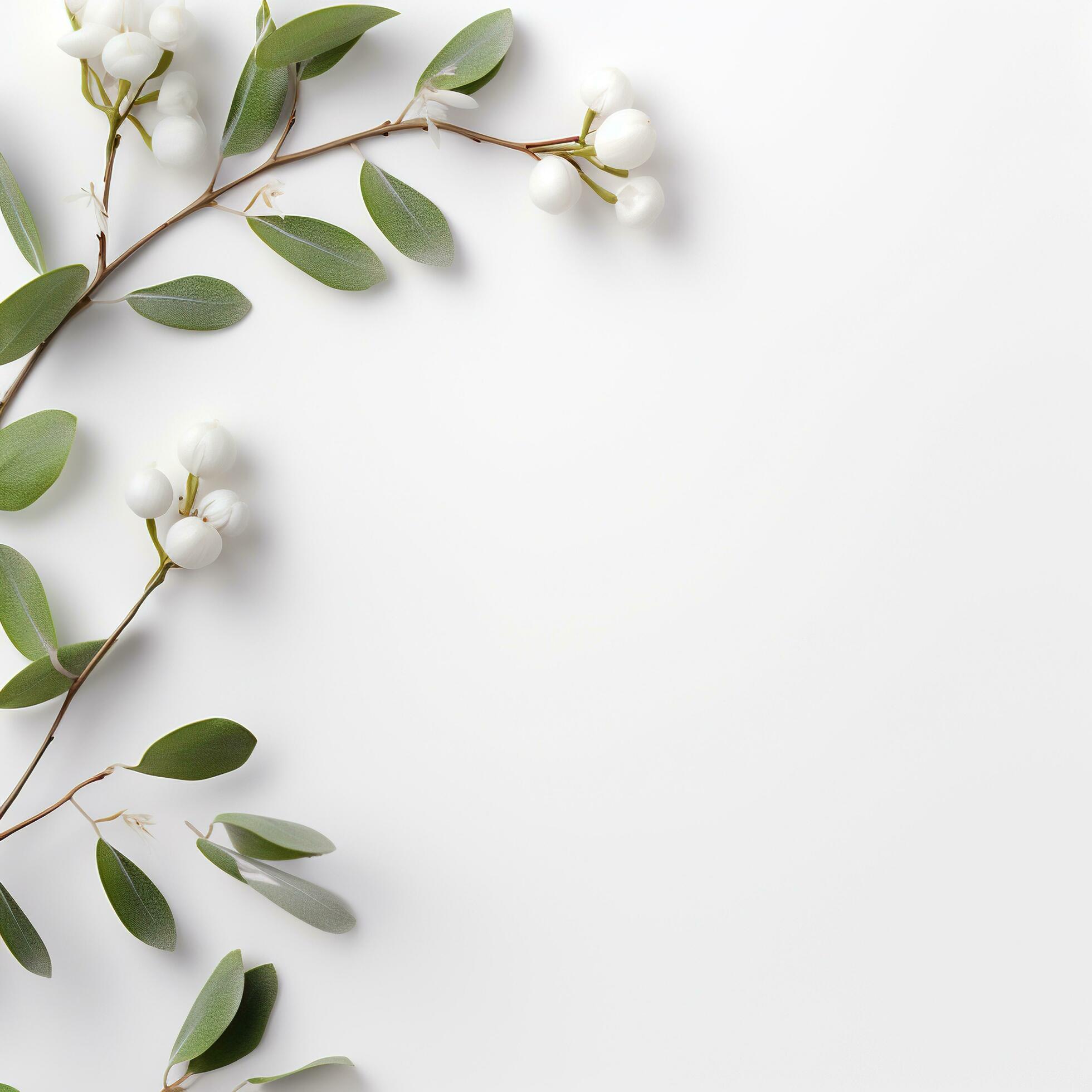 Simple abstract white background, empty surface, space for design ...