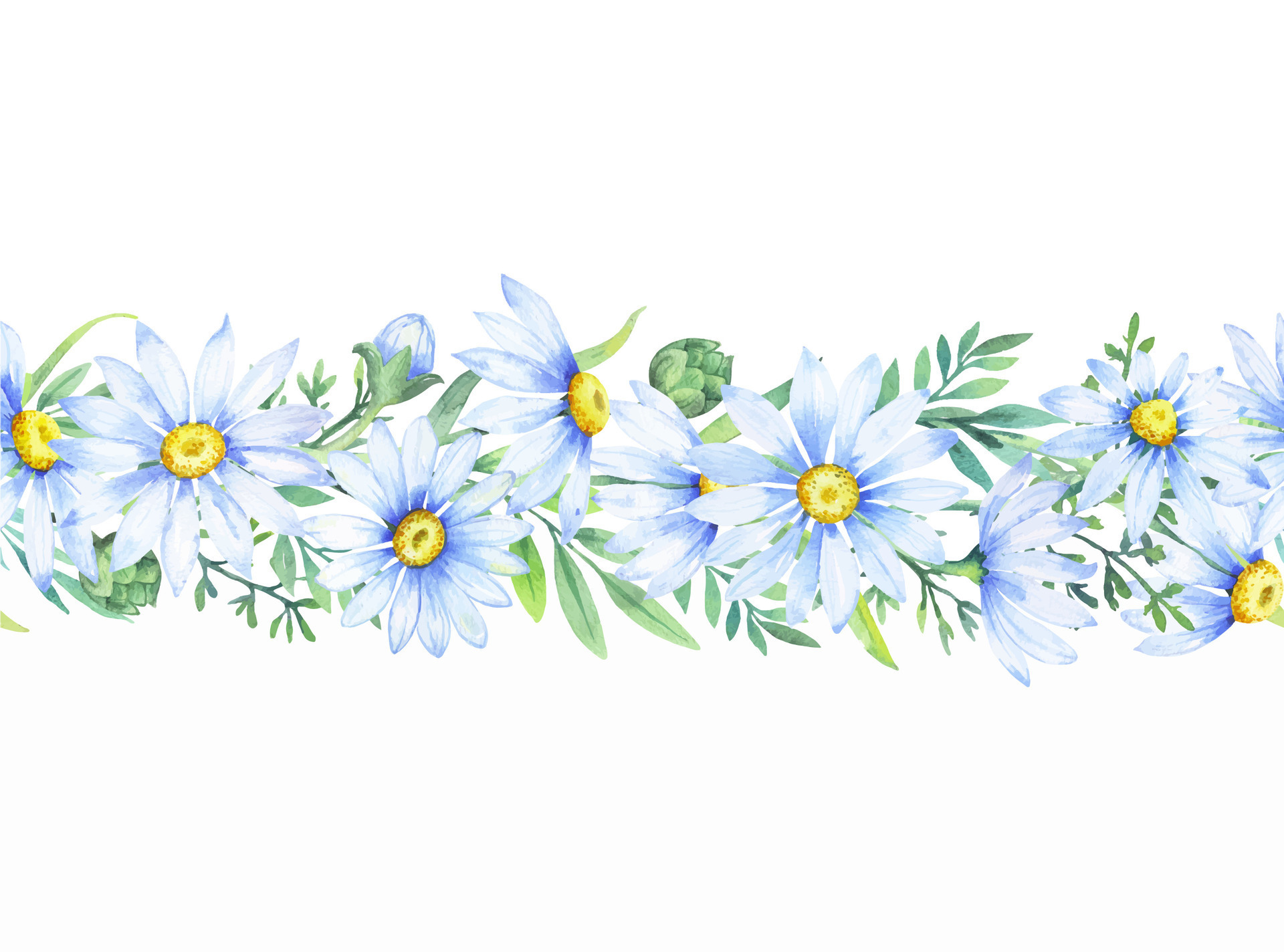 Floral daisy border, watercolor illustration. White daisy. Floral ...