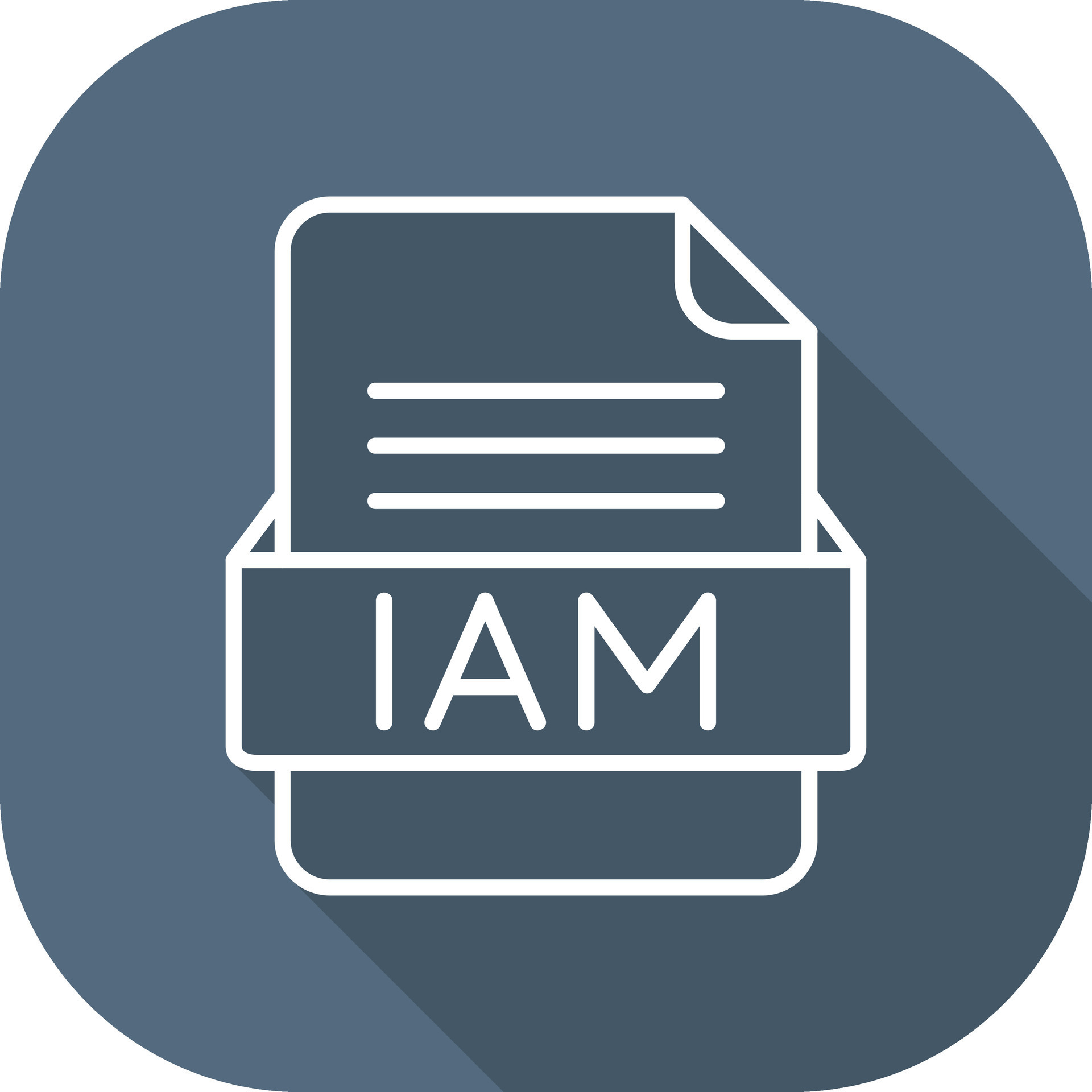 Iam File Format Vector Icon 31763178 Vector Art At Vecteezy