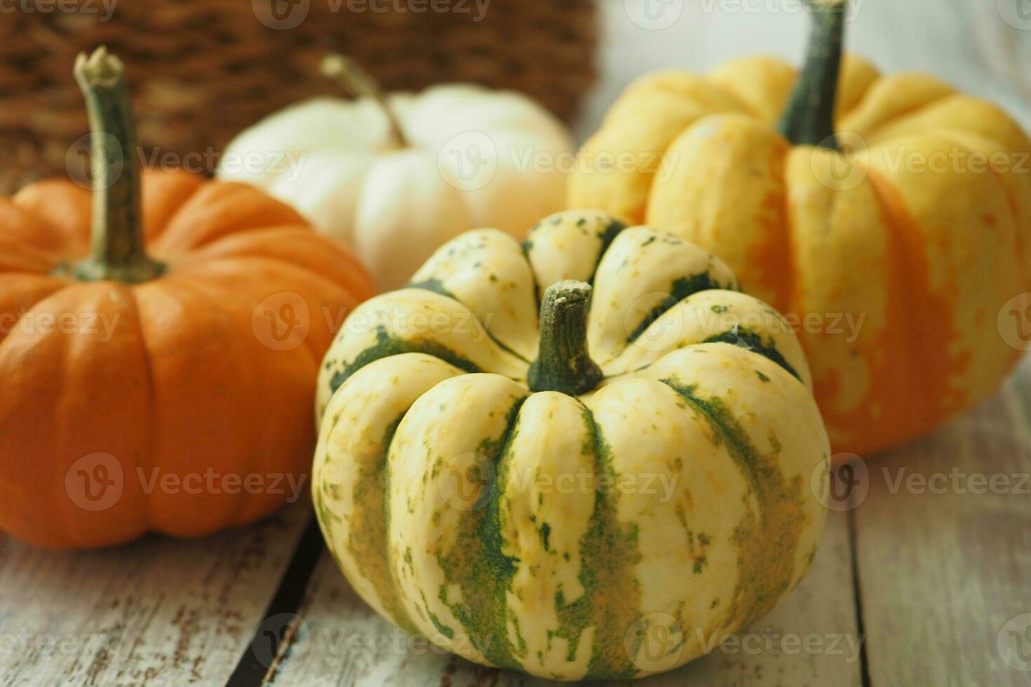 Different Types Of Mini Pumpkins Color Background 31824414 Stock Photo different-types-of-mini-pumpkins-color-background-31824414-stock-photo