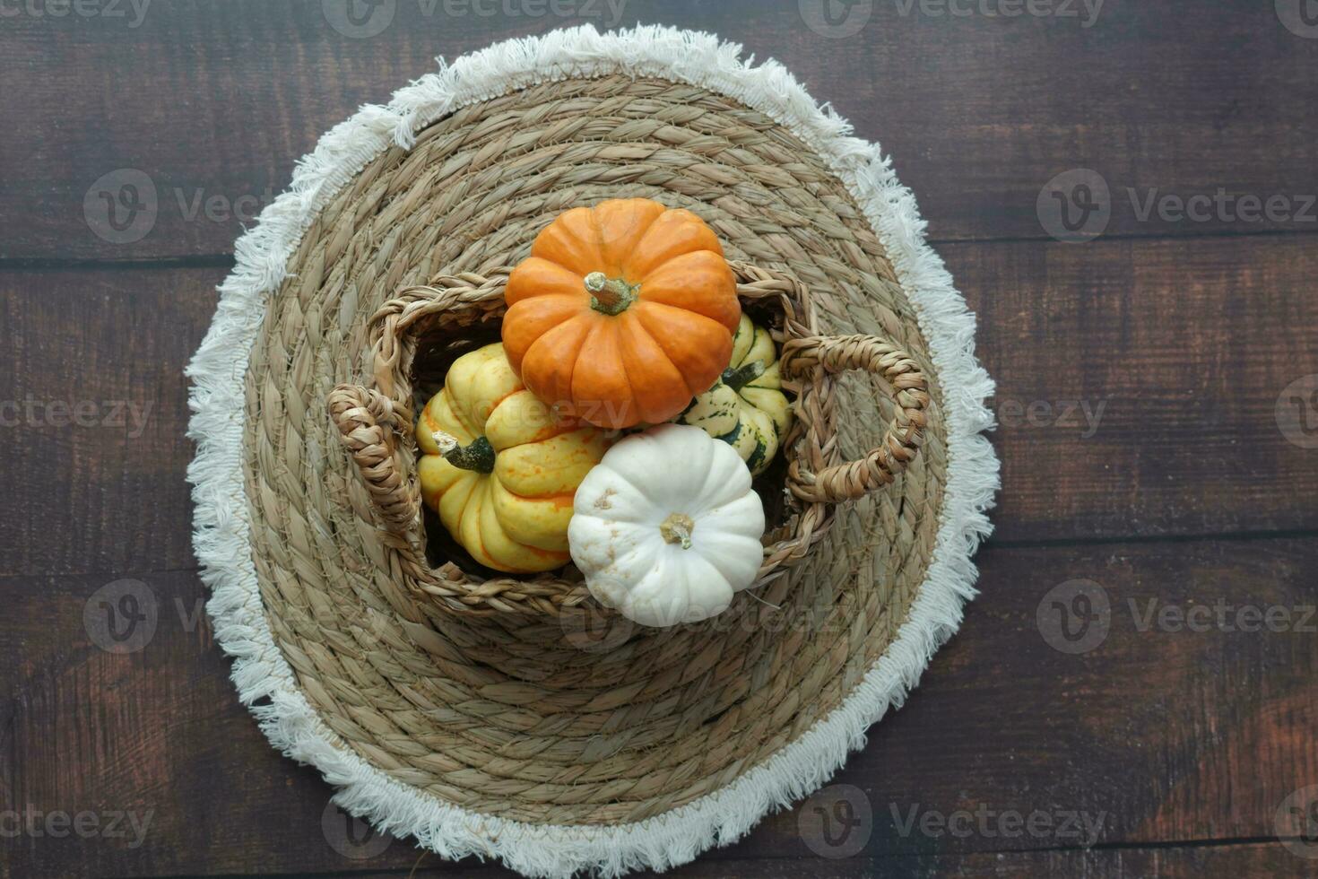 Different Types Of Mini Pumpkins Wooden Background 32036628 Stock Photo different-types-of-mini-pumpkins-wooden-background-32036628-stock-photo