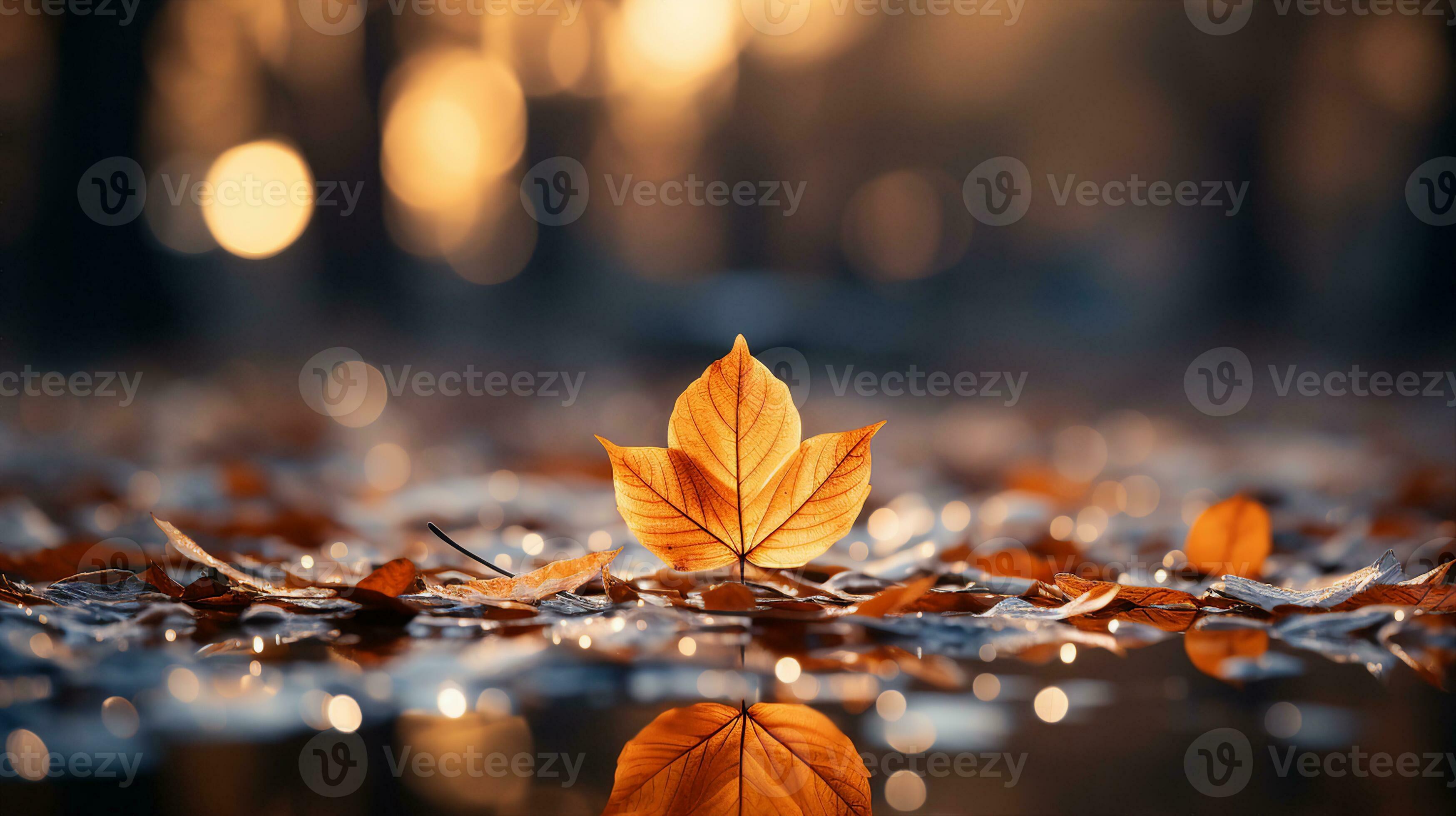 Autumn Scene with Vibrant Maple Leaf Background, Stunning Seasonal Foliage in Rich, Warm Colors ...