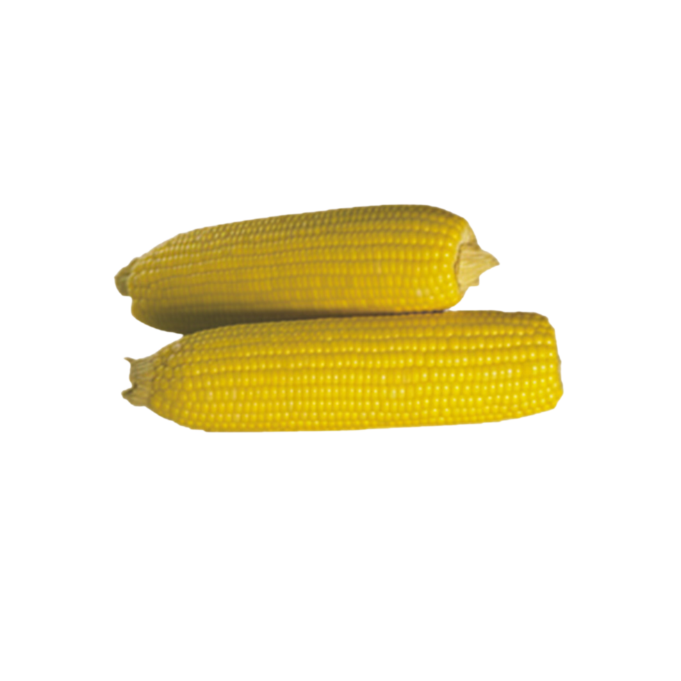 Corn No Background 32161081 Png