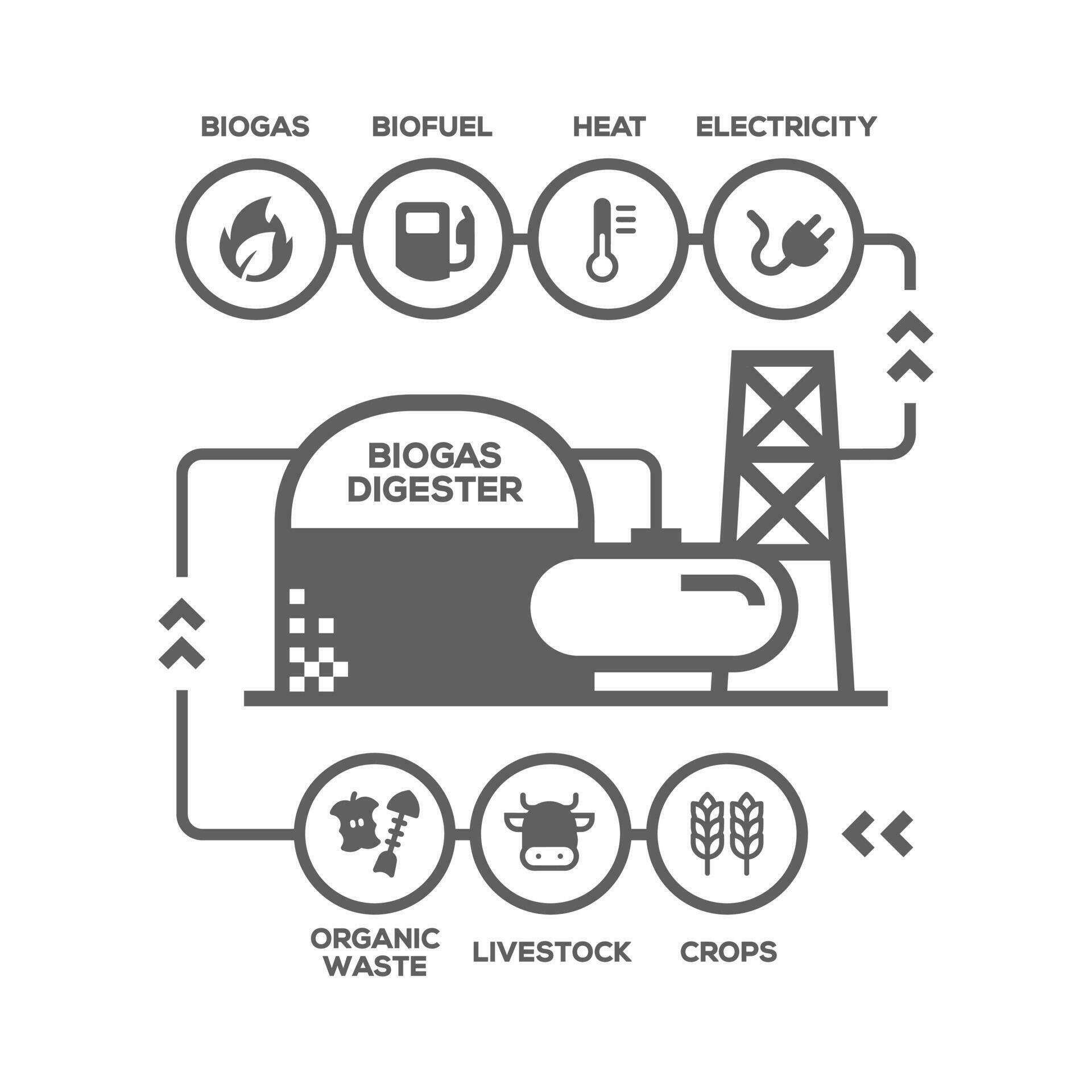Simple Biogas Plant Diagram. Biogas production stages, renewable energy and green environment ...