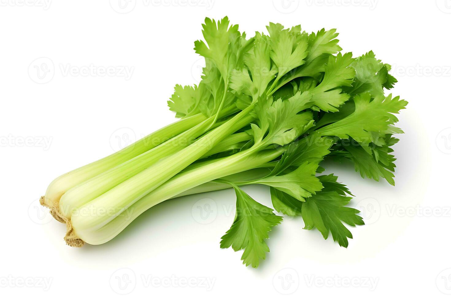 Celery vegetable isolated on white background AI Generated 32265166 Stock Photo at Vecteezy