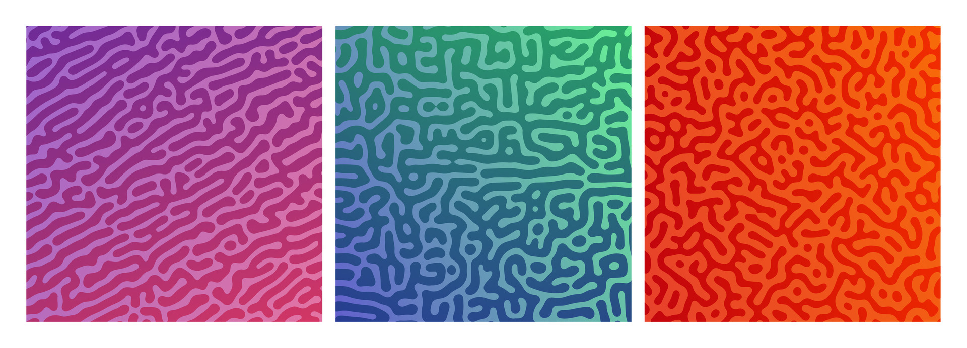 Set Of Three Colorful Turing Reaction Gradient Backgrounds Abstract