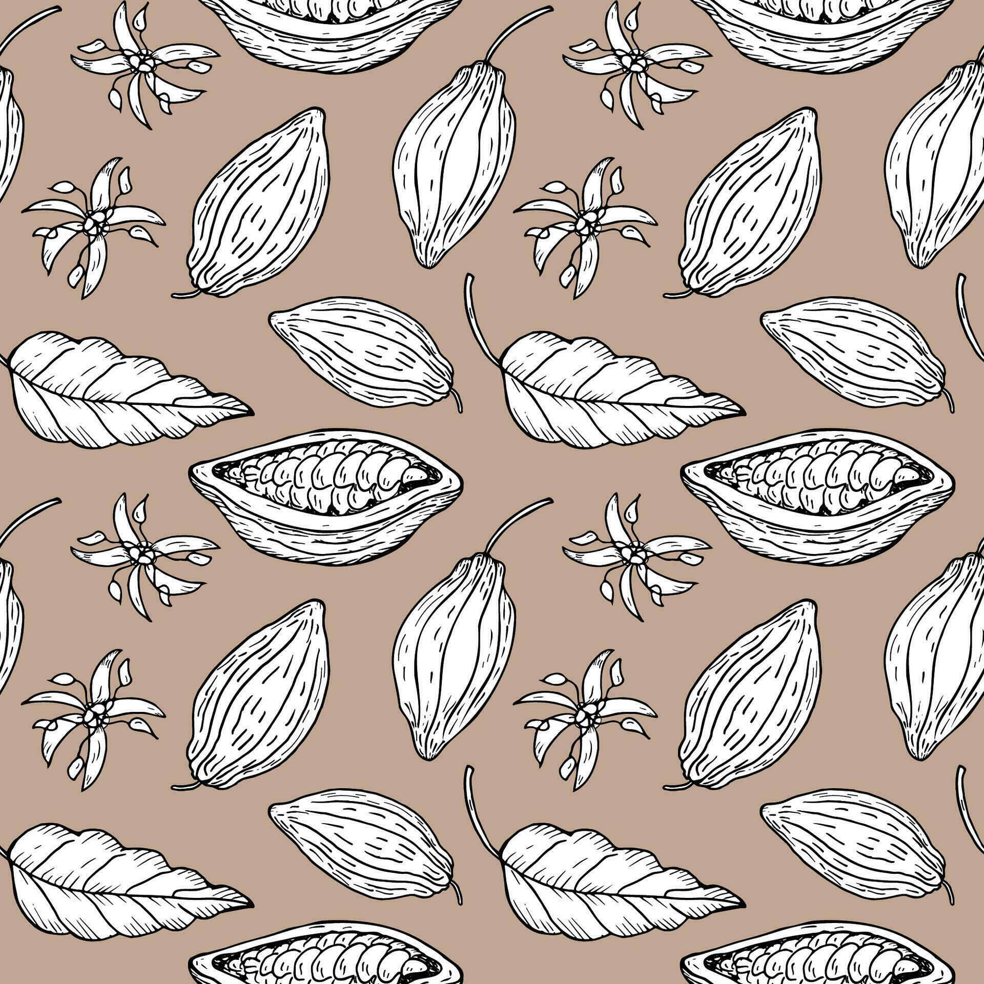 Cocoa Seamless pattern with fruits and cacao plant repeating background hand drawn decorative ...