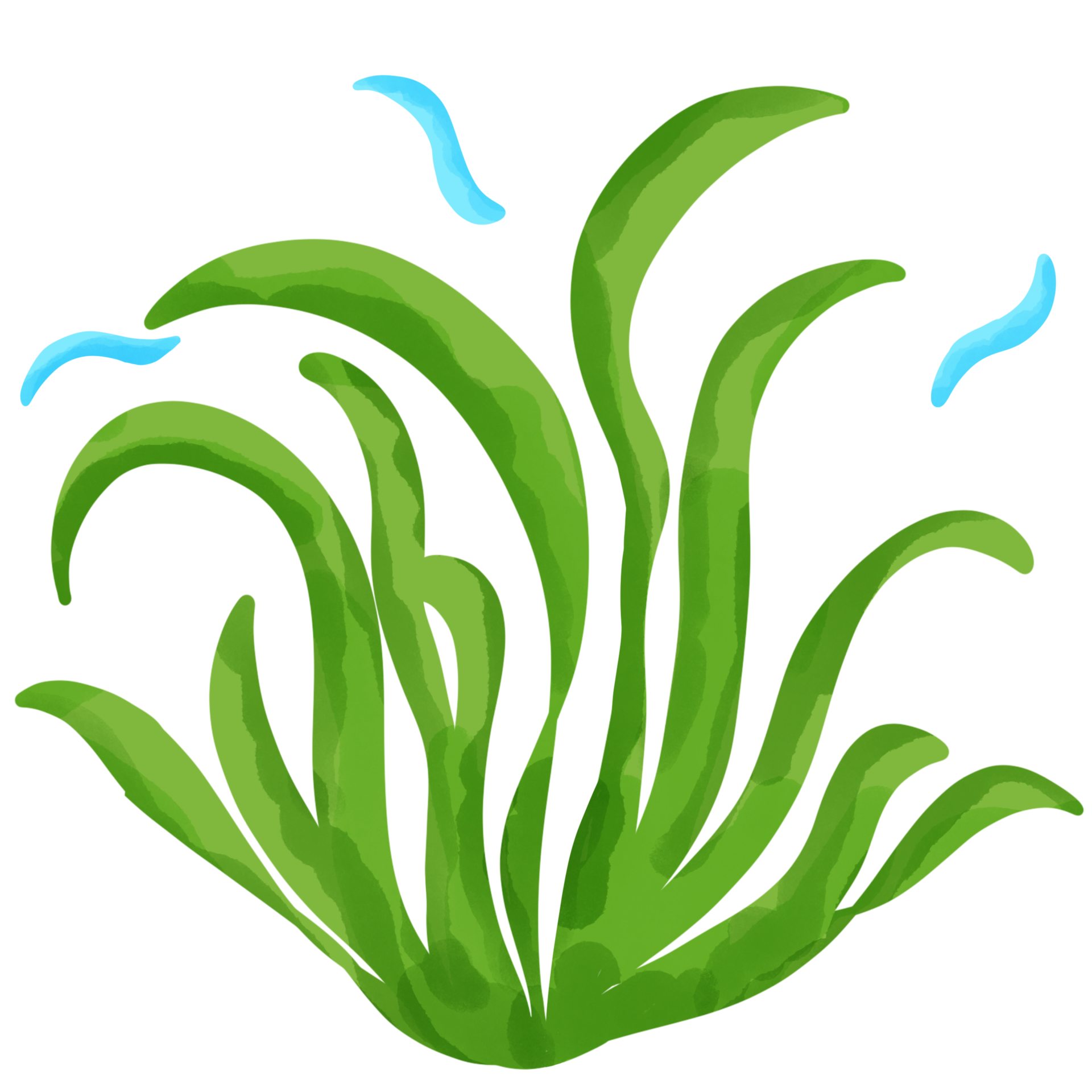 green seaweed png. 32414293 PNG