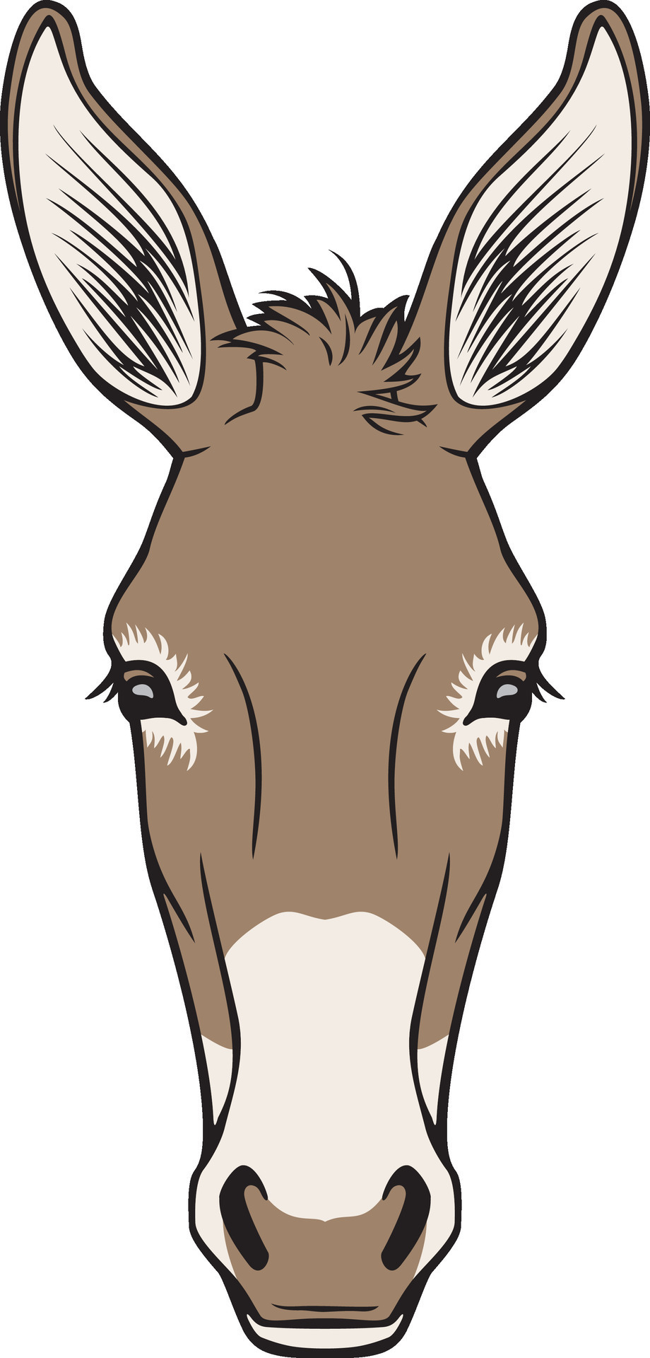Donkey Head Color. Vector Illustration. 32461430 Vector Art at Vecteezy