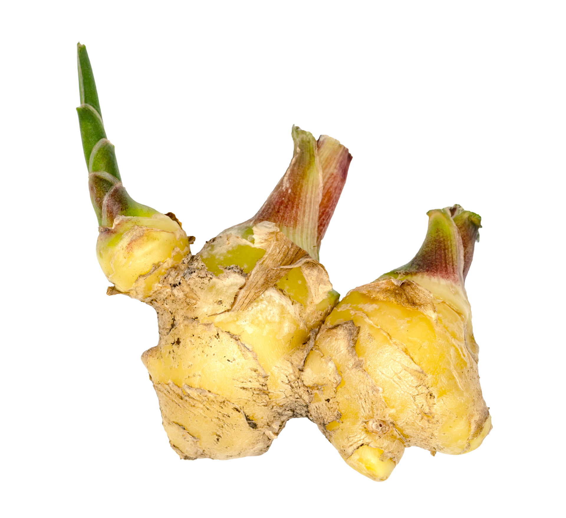 closeup fresh ginger isolated 32475685 PNG