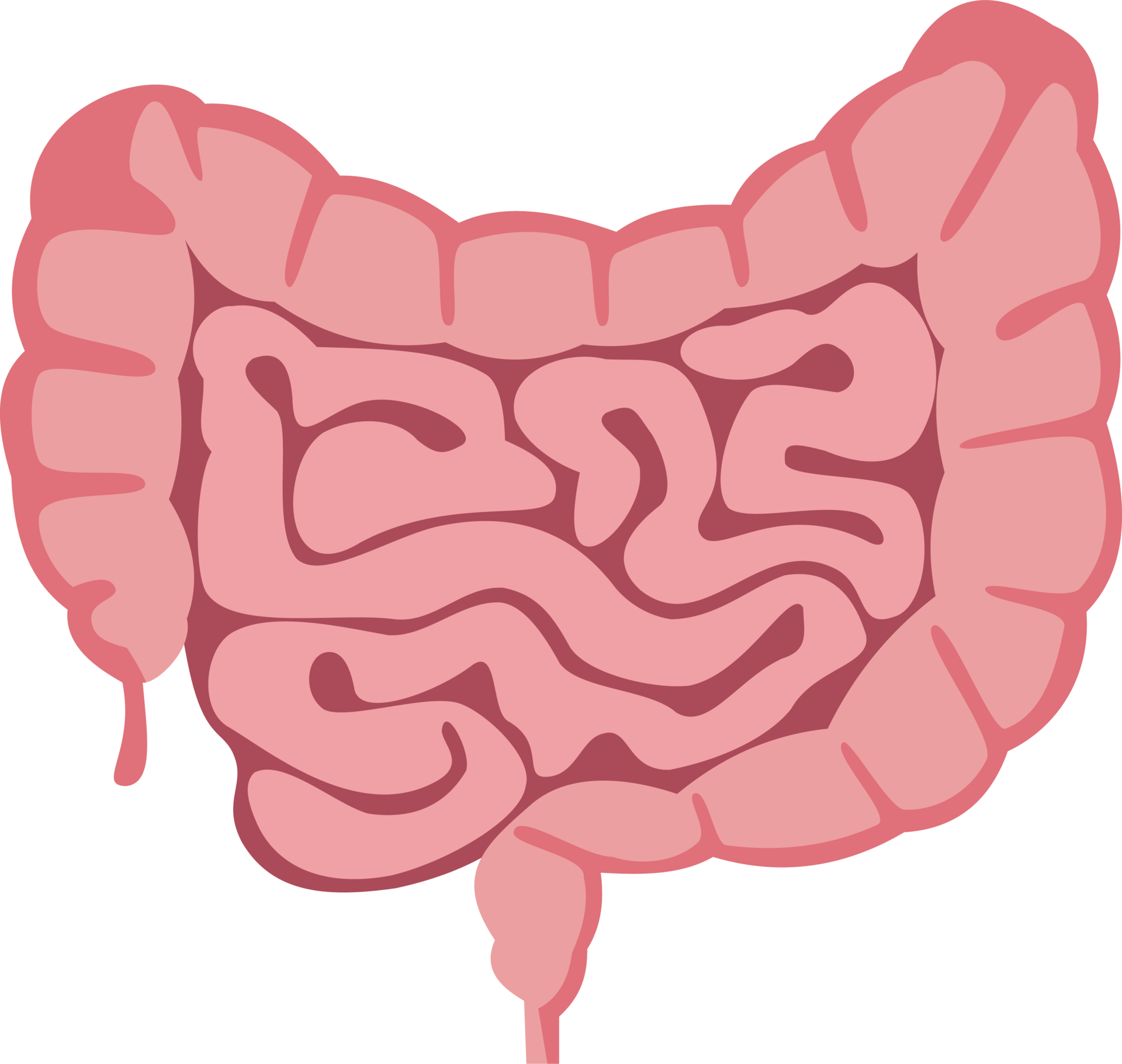 Illustration Of Large And Small Intestine 32499976 PNG illustration-of-large-and-small-intestine-32499976-png