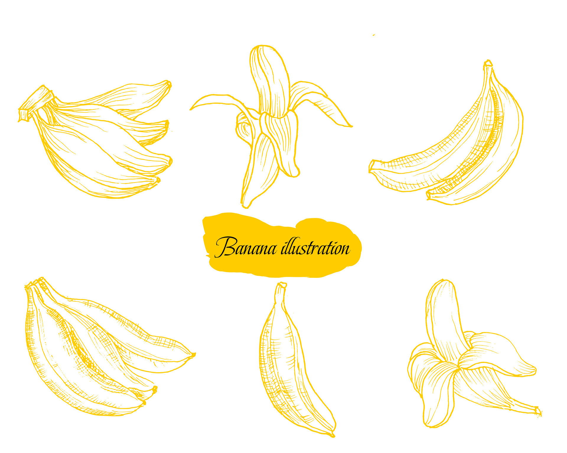 Hand Drawn Banana Fruit Illustration 32545926 Vector Art at Vecteezy Hand Drawn Banana Fruit Illustration 32545926 Vector Art at Vecteezy