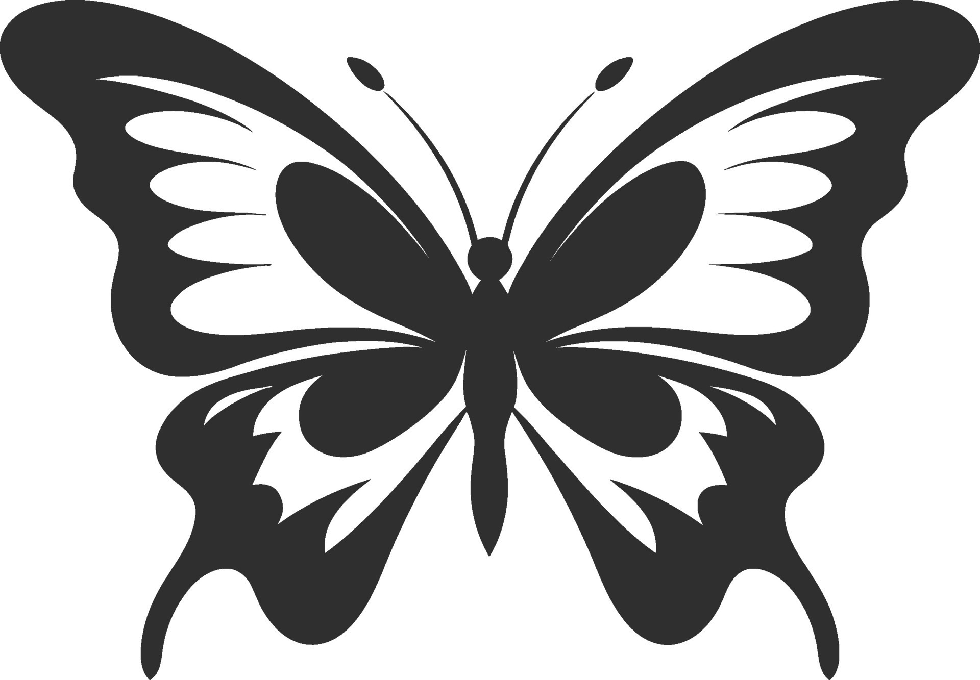 Vector Butterfly Symbol Dark Delight Sculpted Butterfly Emblem Monochromatic Mastery 32696316 ...