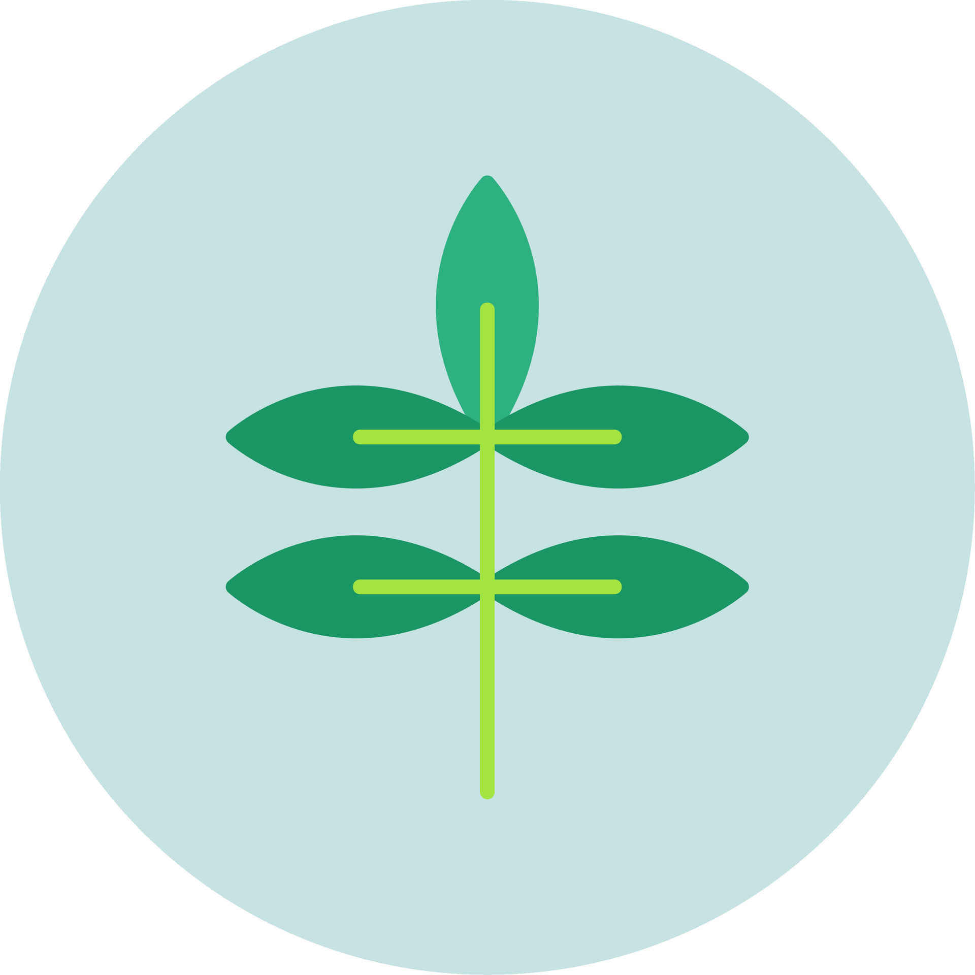 Alfalfa Vector Icon 32708740 Vector Art at Vecteezy