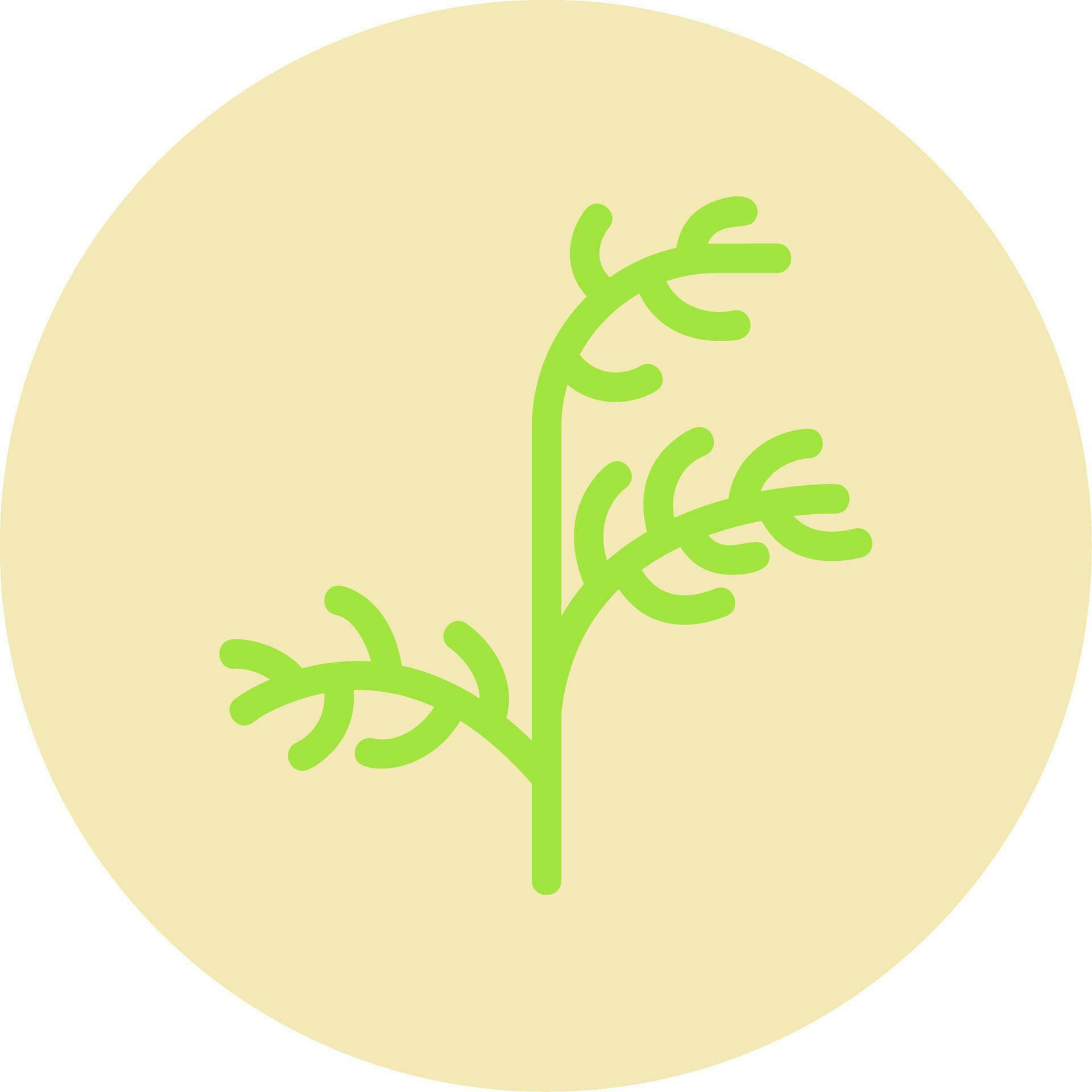 Dill Vector Icon 32708767 Vector Art at Vecteezy