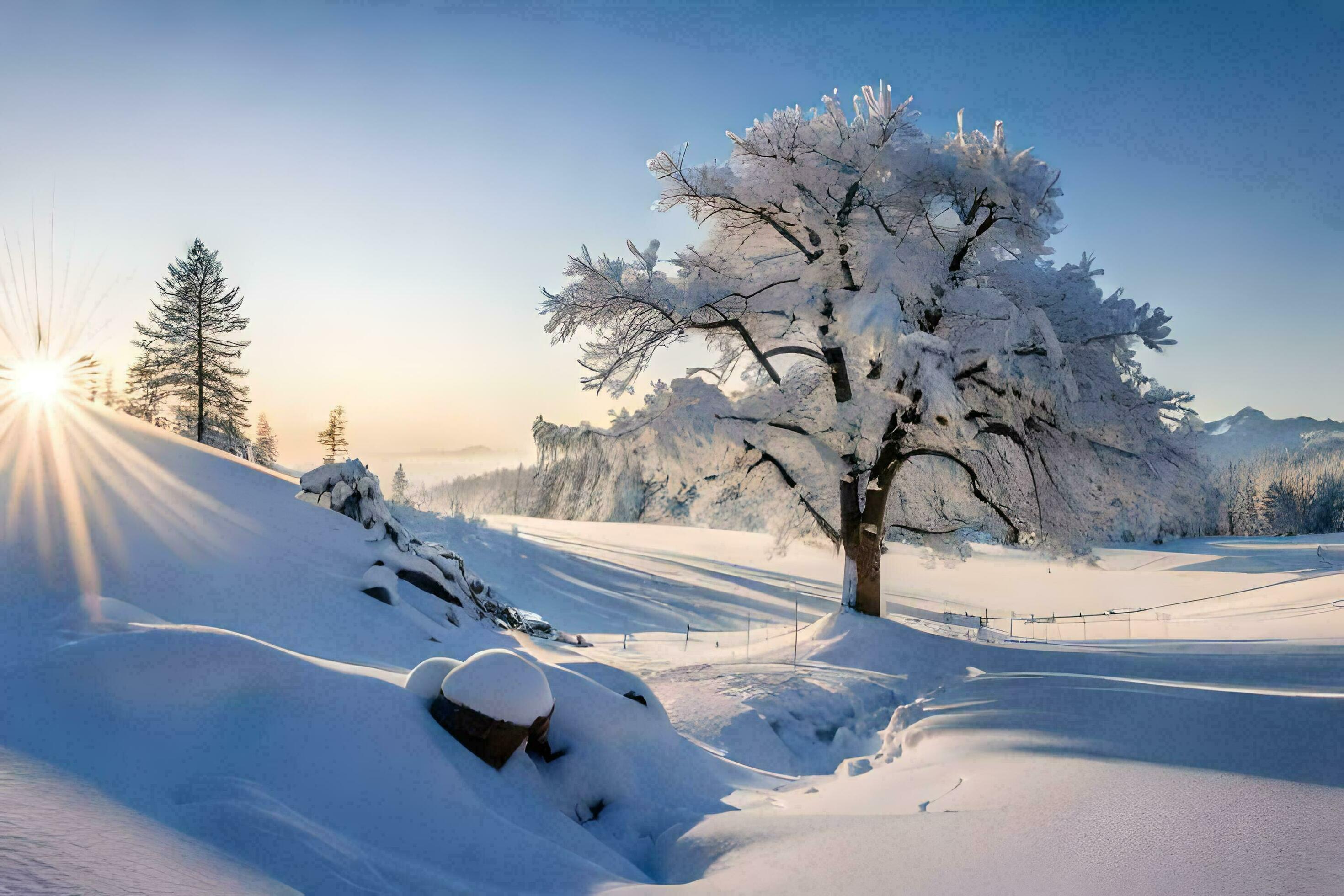 photo wallpaper the sky, snow, trees, sun, trees, winter, trees, winter ...