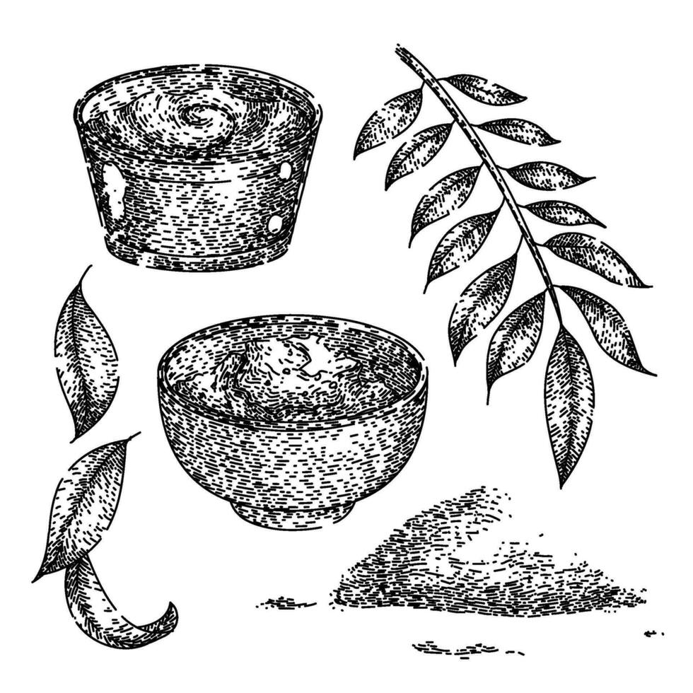 curry set sketch hand drawn vector 32829753 Vector Art at Vecteezy curry set sketch hand drawn vector 32829753 Vector Art at Vecteezy