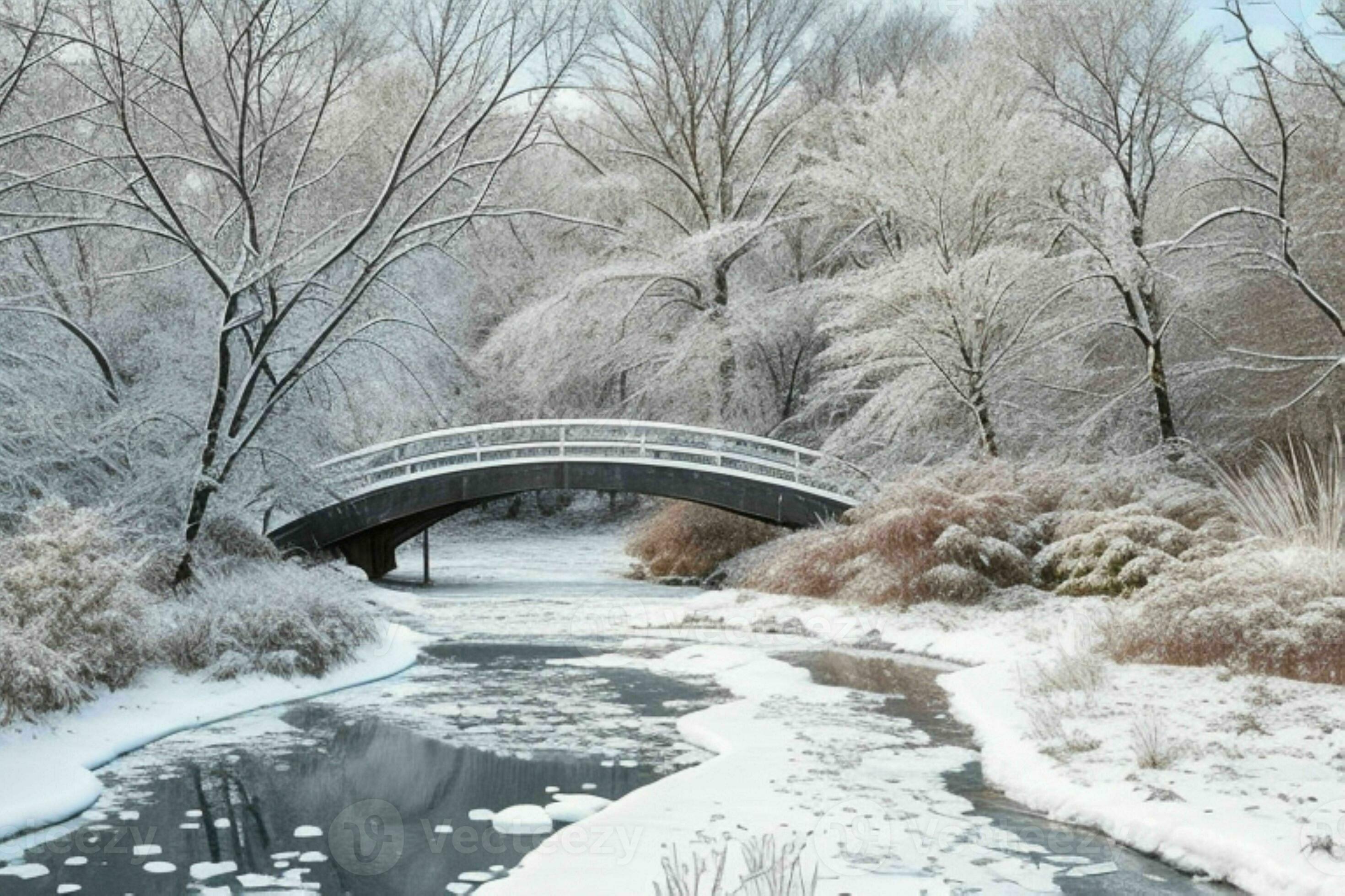 Winter at the garden, showing a bridge over frozen water and trees covered with snow. background ...