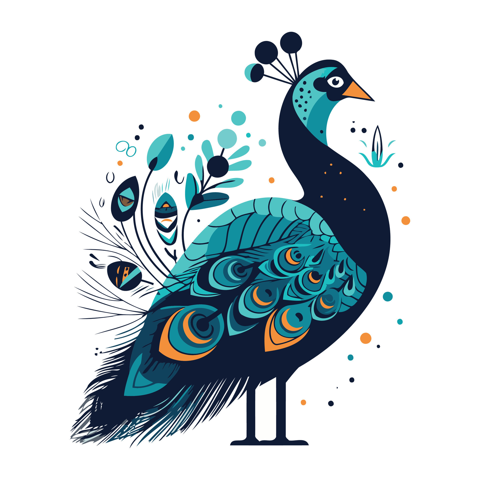 Peacock On A White Background Vector Illustration For Your Design