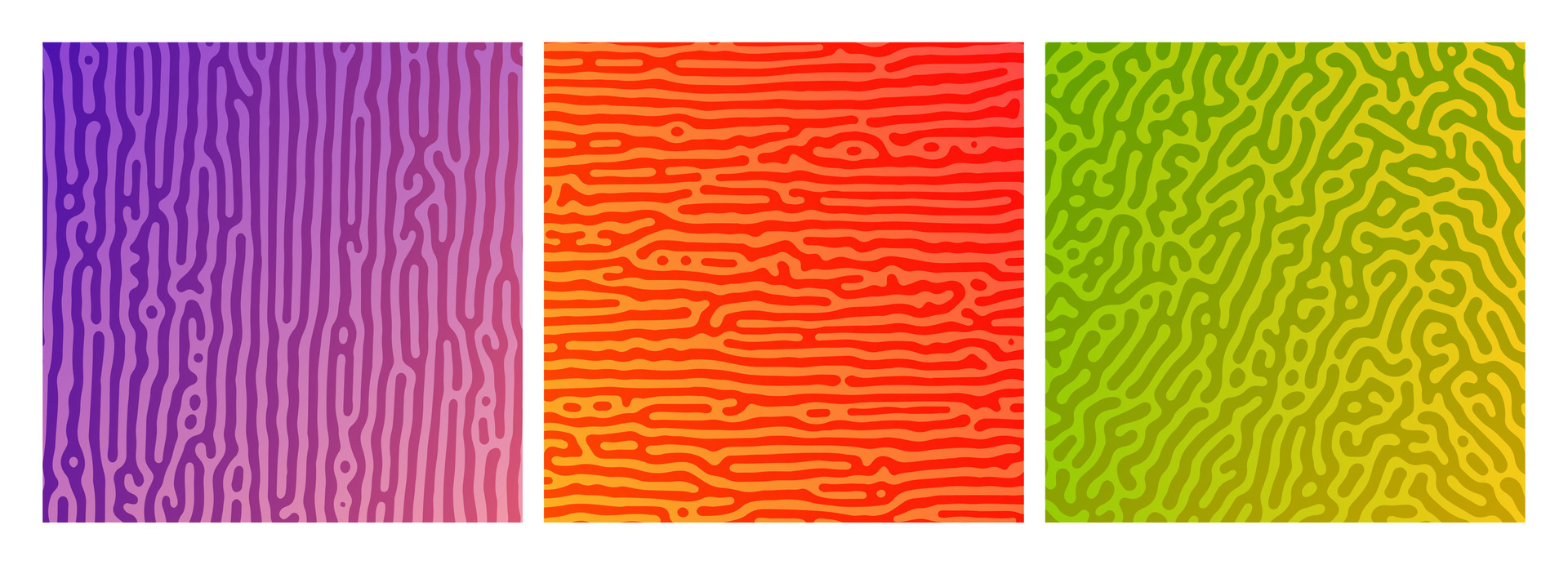 Set Of Three Colorful Turing Reaction Gradient Backgrounds Abstract