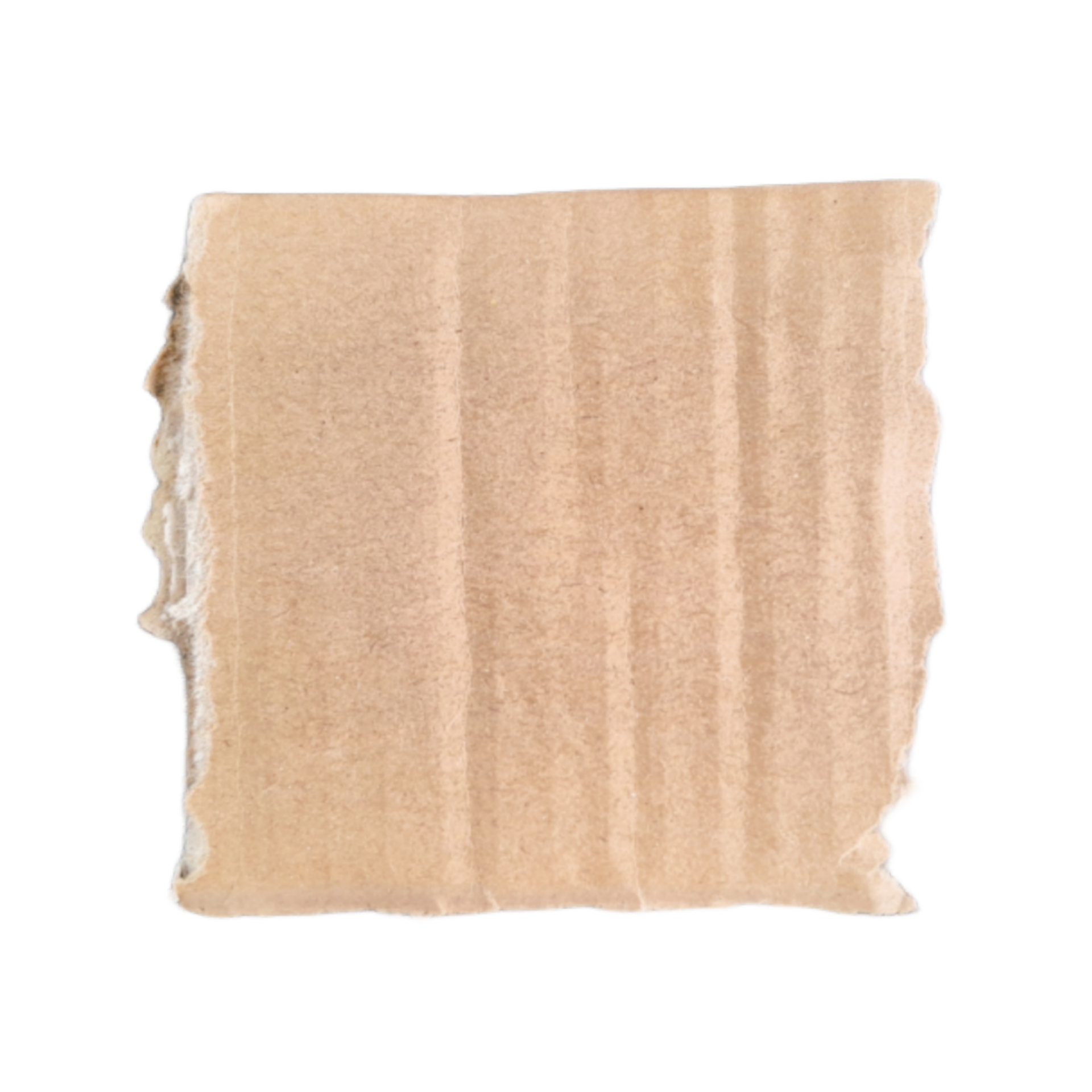 Torn cardboard paper of brown isolated on transparent background for ... Torn cardboard paper of brown isolated on transparent background for ...