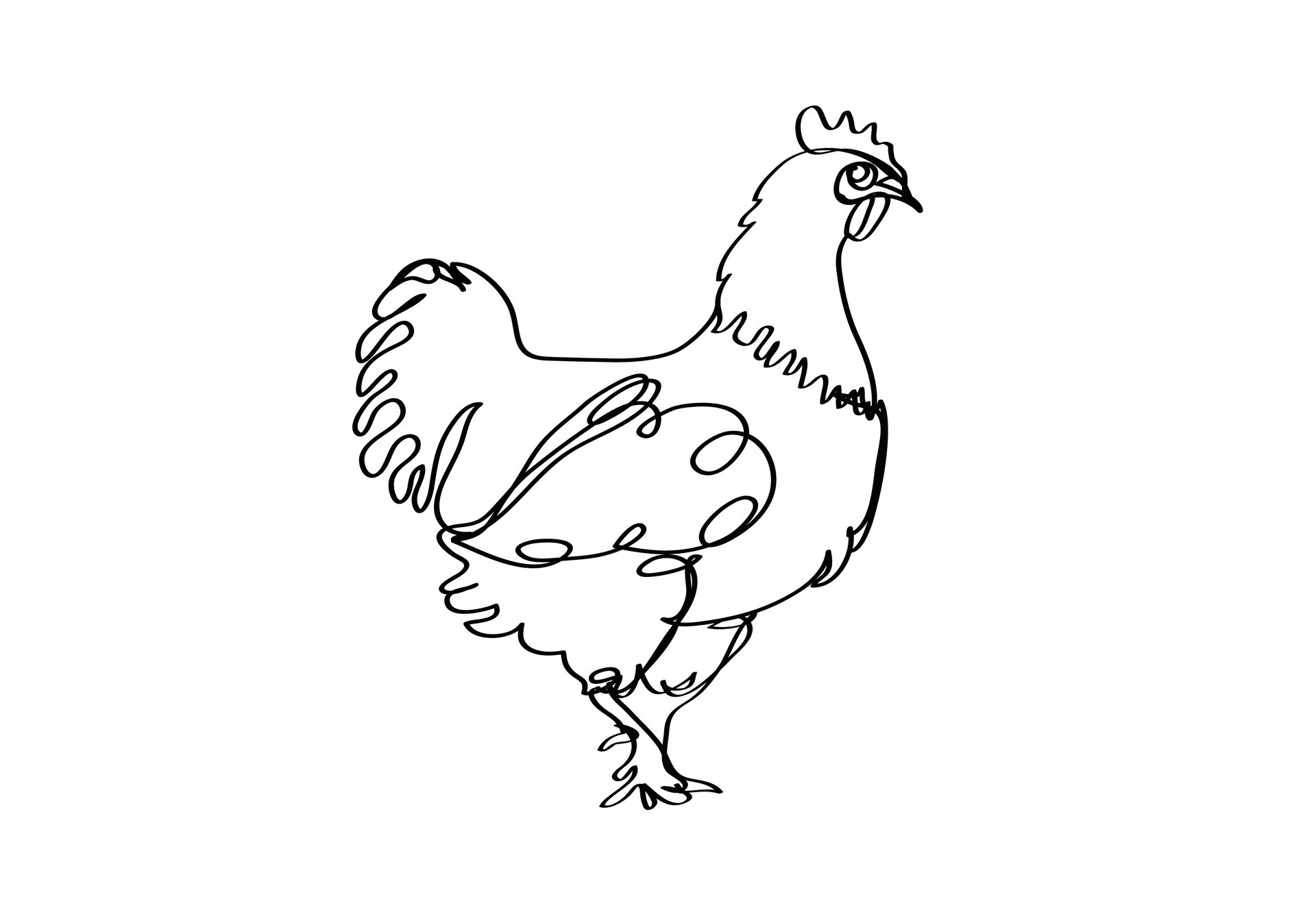 Hen Line Drawing Chicken Style Continuous Line Art Vector