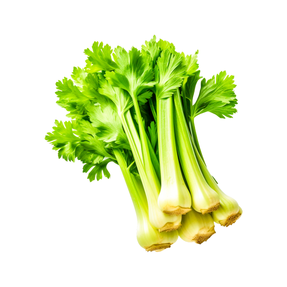 une magnifique céleri génératif ai 33125061 PNG