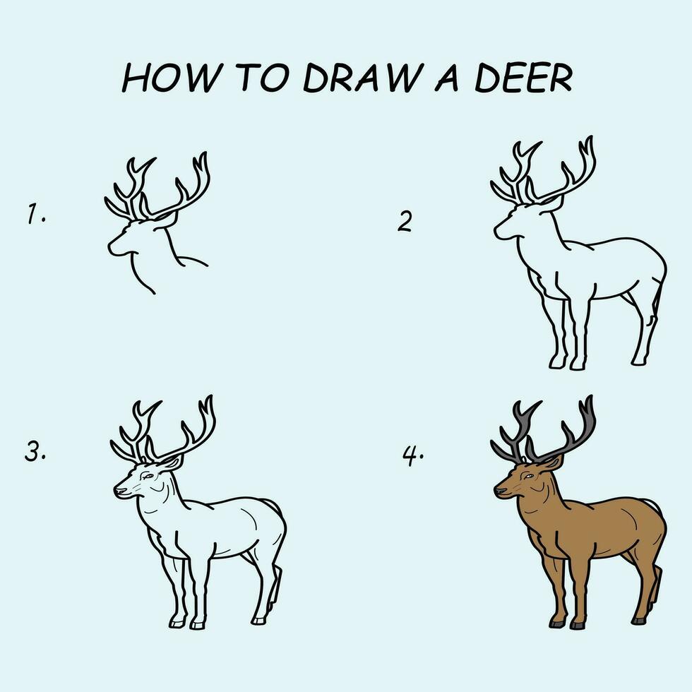 How To Draw A Deer Steps