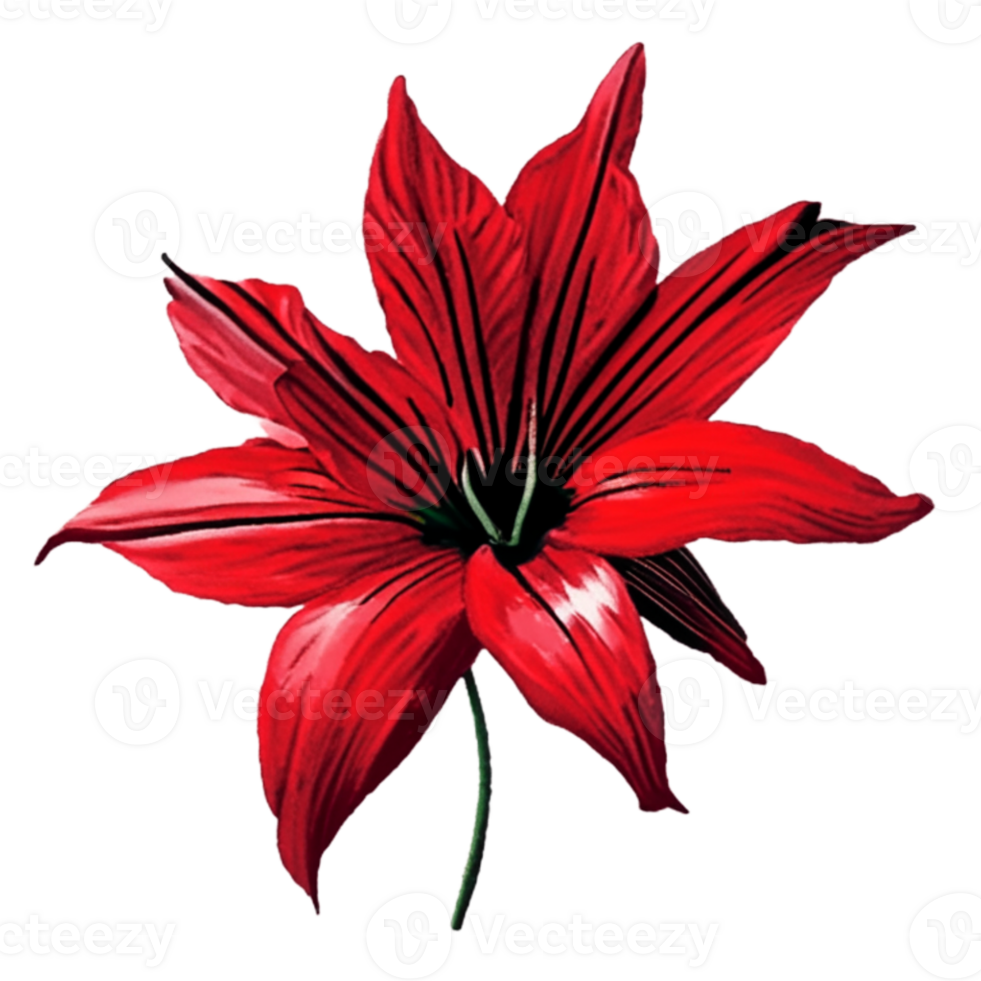 Lily Red Flower AI Generative 33210602 PNG Lily Red Flower AI Generative 33210602 PNG
